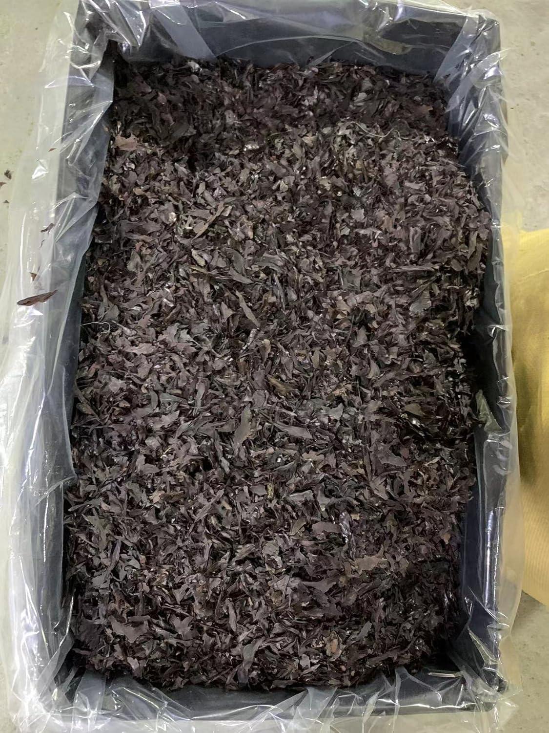 Dried Rhodymenia Palmate Atlantic Dulse Flakes 200g(7 oz) | Buy Now ...