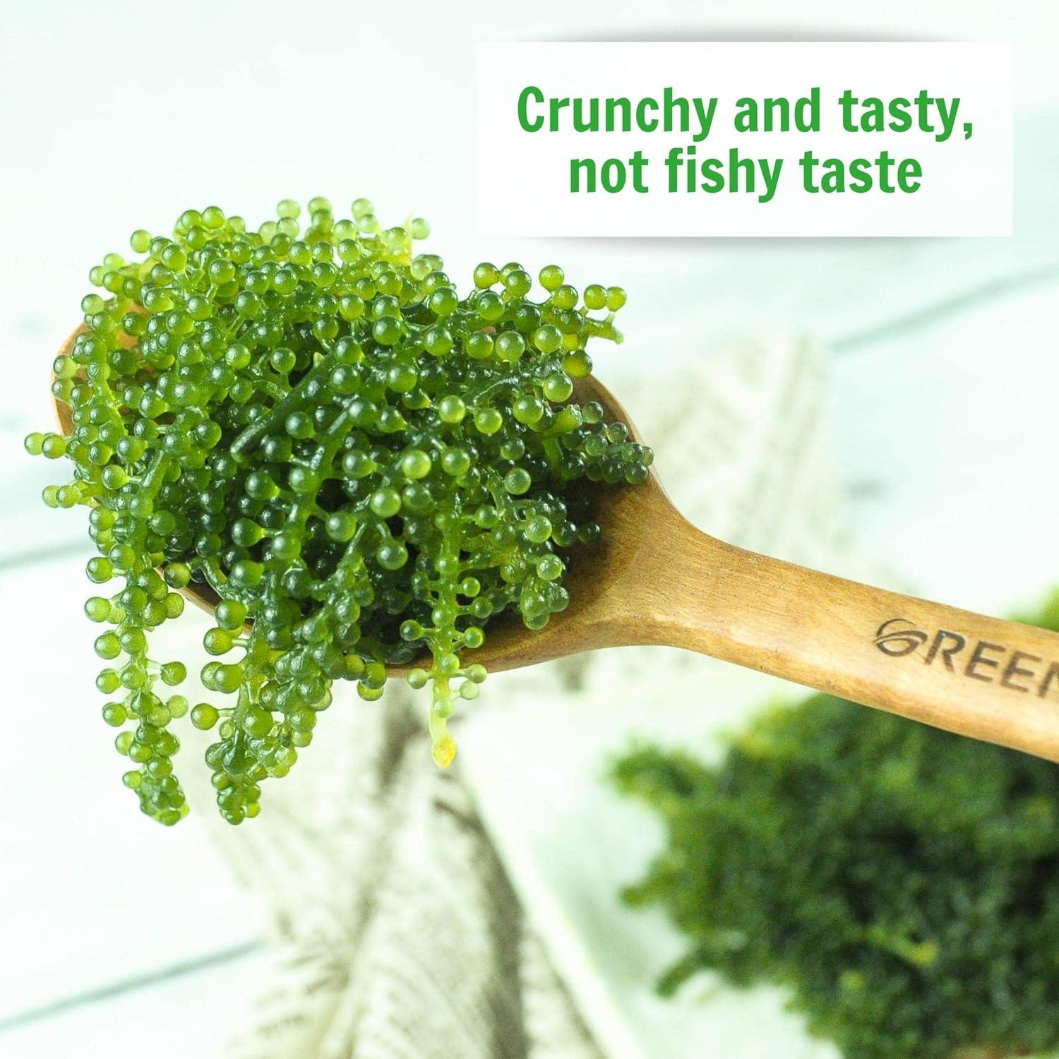 Kadosachi Dehydrated Sea Grapes 4.24 oz - Green Caviar Umibudo Seaweed ...