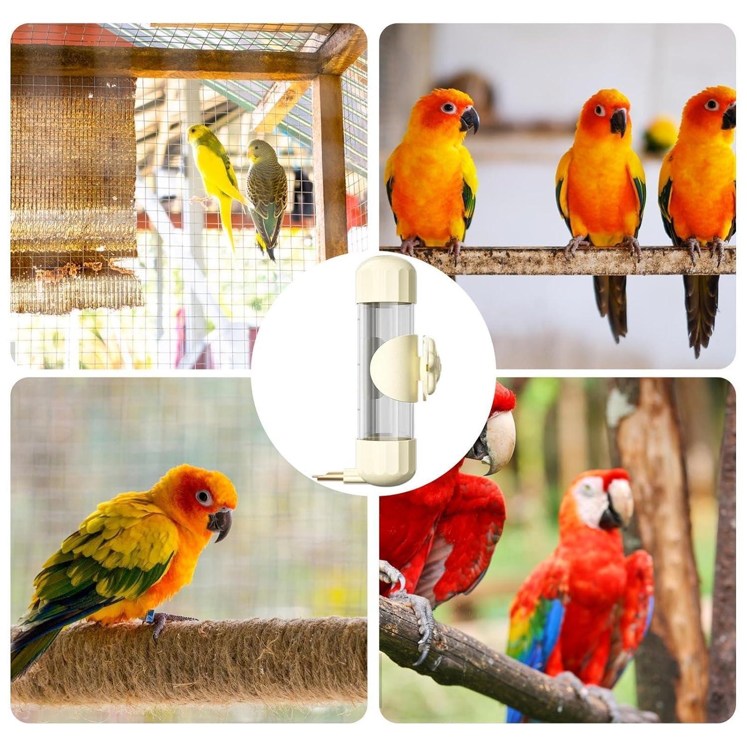 Quotent Automatic Bird Water Bottle - 200ml Dispenser for Parrots ...