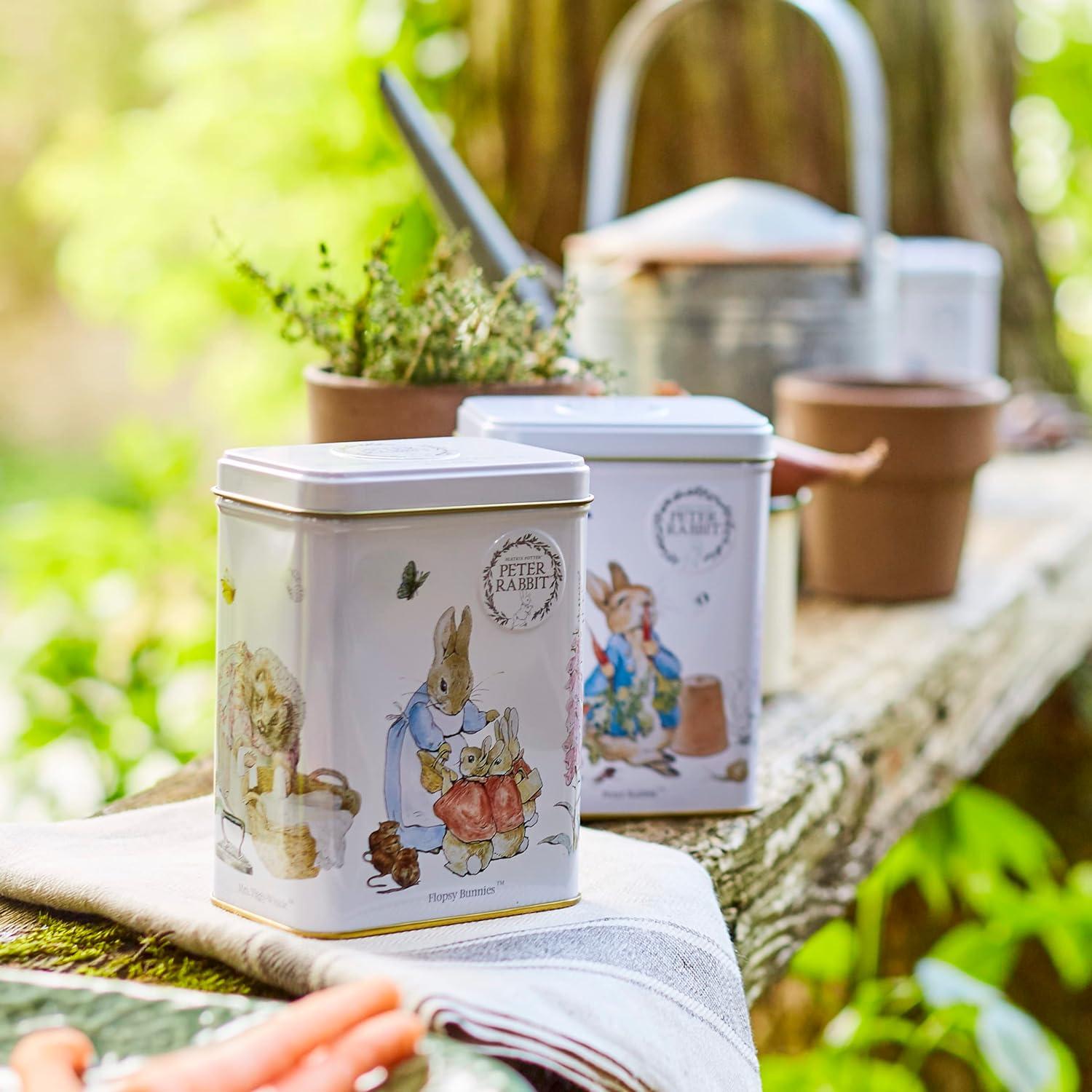 New English Teas Peter Rabbit Tea Caddy with 40 English Afternoon ...