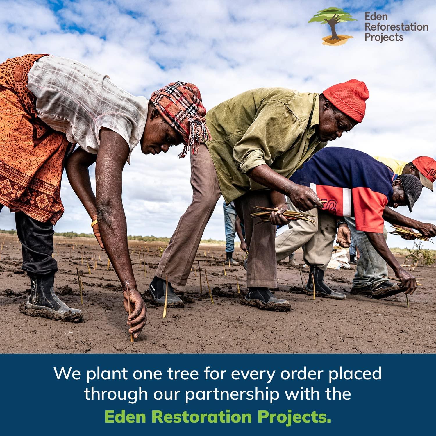 Eversprout 20 Ft Reach Cobweb Duster with 12ft Extension Pole | Medium ...