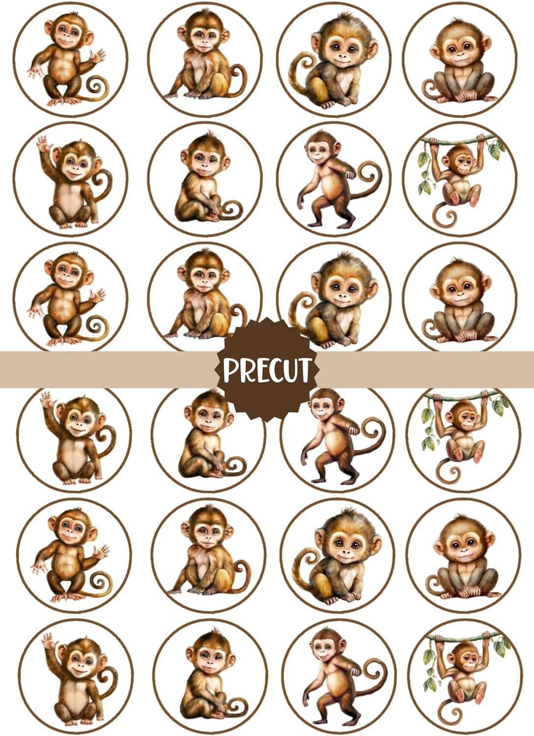 PRECUT Monkey Edible Cupcake Toppers - Cute Monkey Theme Premium ...