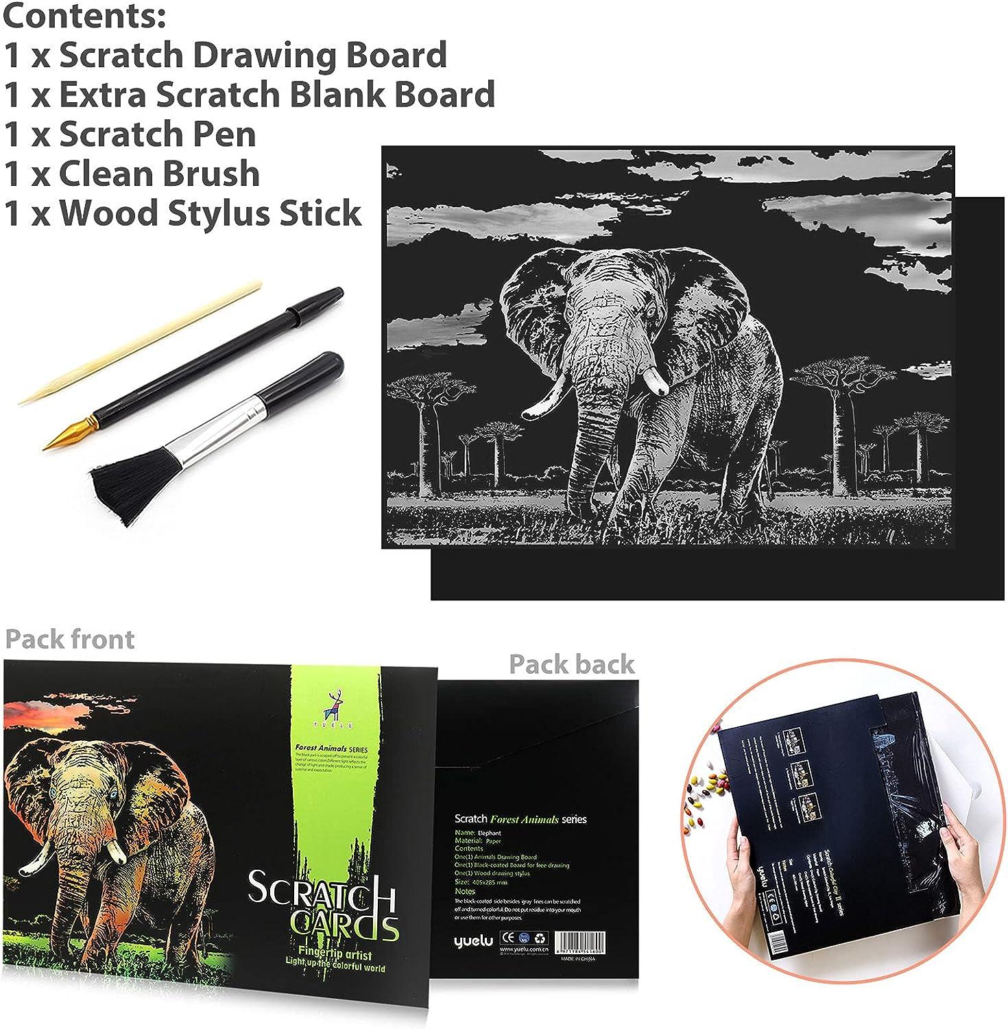 MIASTAR Scratch Art Animal Rainbow Painting Paper Set - DIY Engraving ...