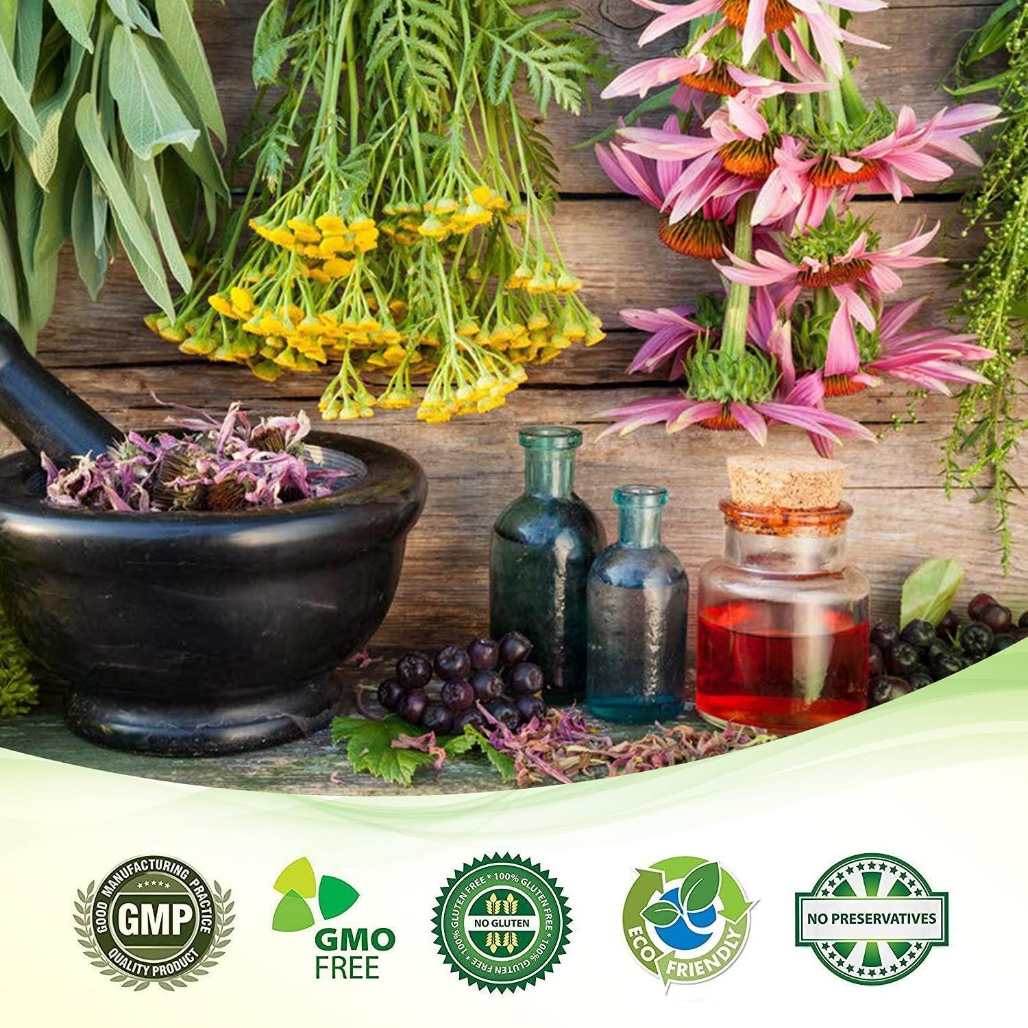 ScabiBLAST Mite Cream Lotion - Fast Relief from All Mites for Humans ...