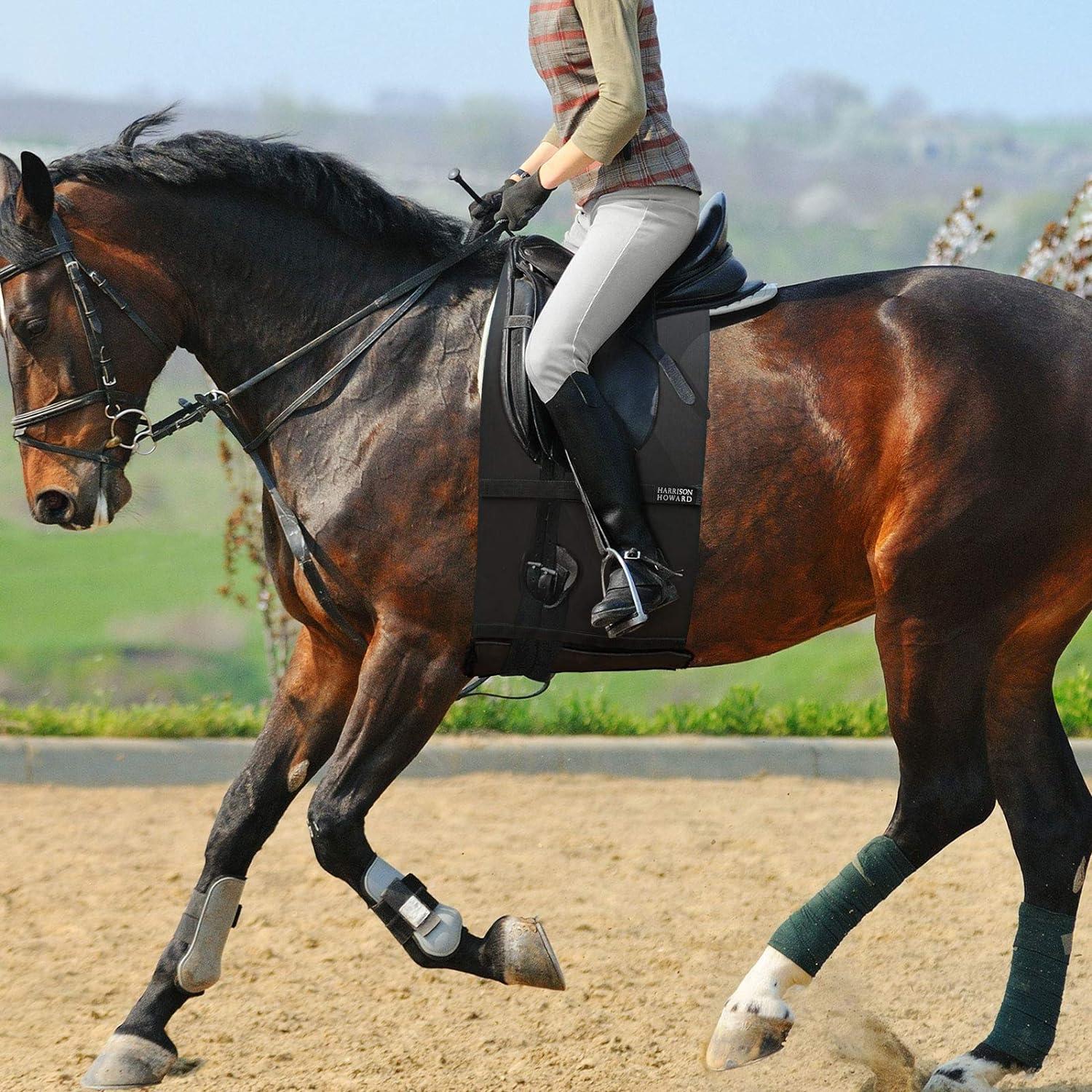 Harrison Howard Horse Belly Guard Wrap - Spur Mark Protector, Full Size ...