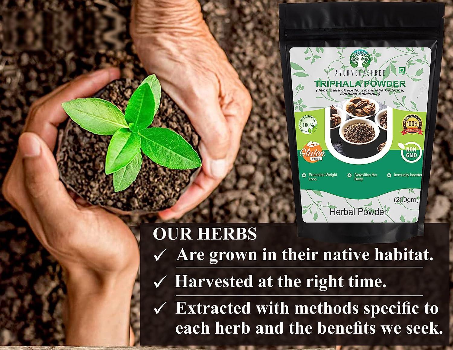 AYURVEDASHREE Triphala Powder 200 Gm | Formula of Amla, Haritaki ...