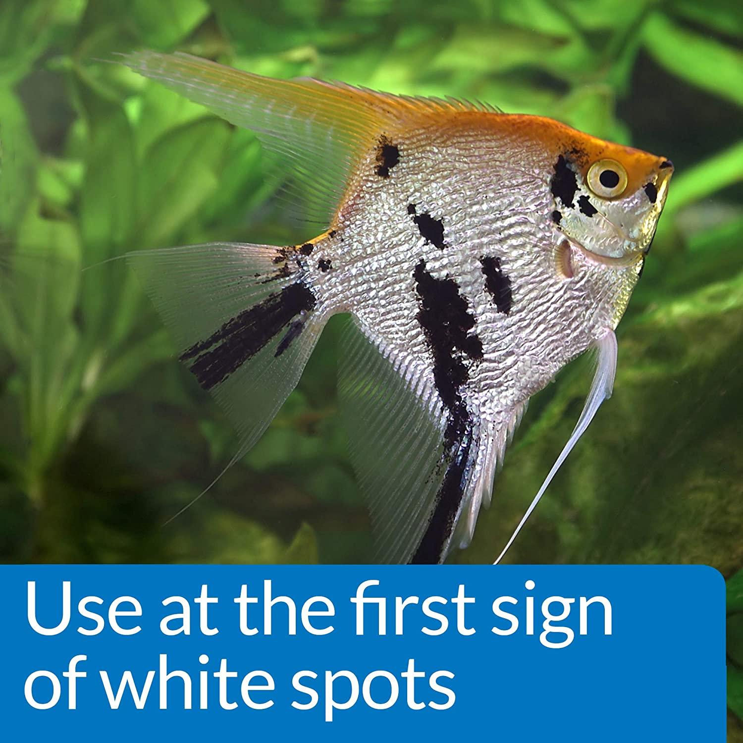 API SUPER ICK CURE Fish Remedy 4-Ounce Liquid | Treats Ich White Spot ...