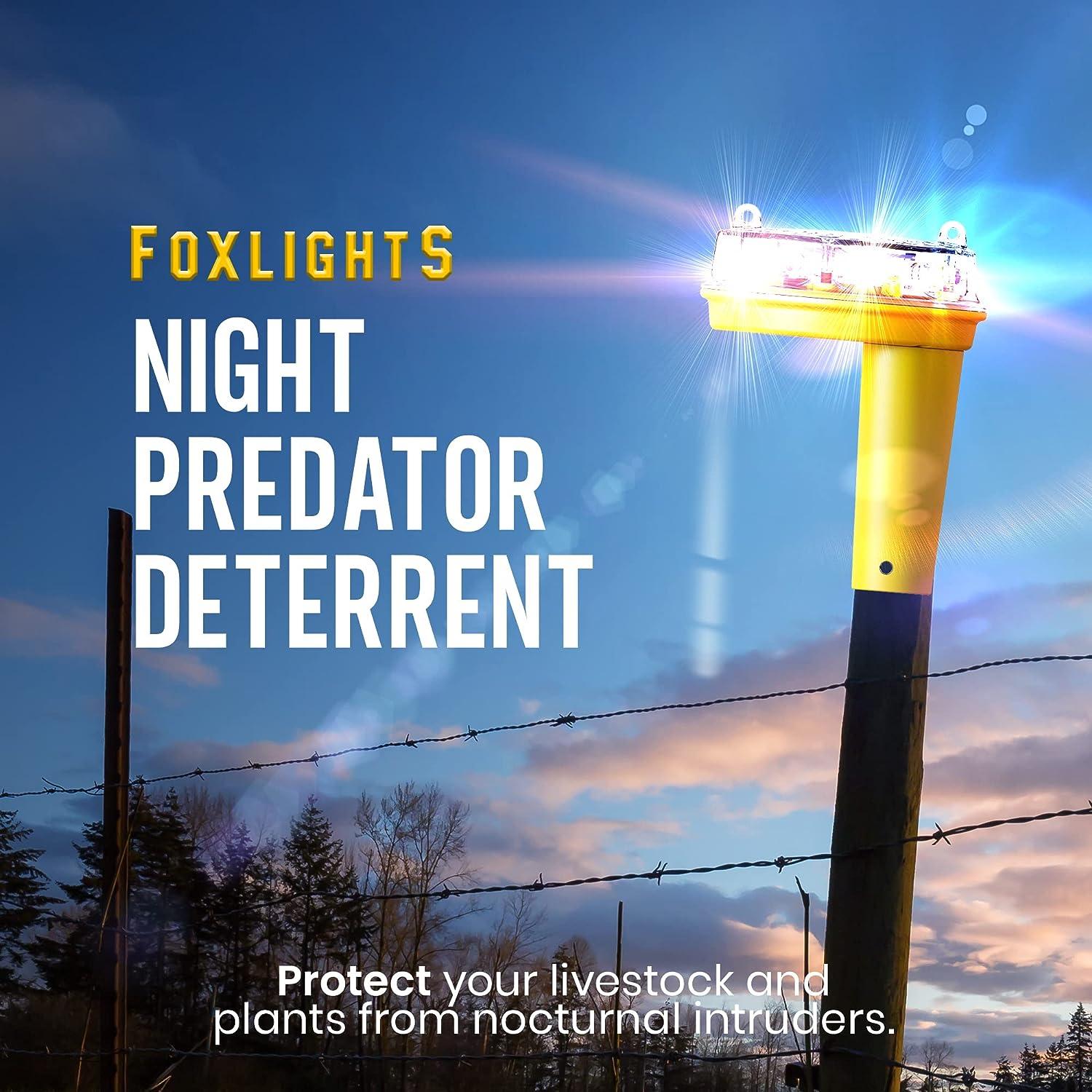 FOXLIGHTS Solar Night Predator Deterrent - LED Predator Control Light ...