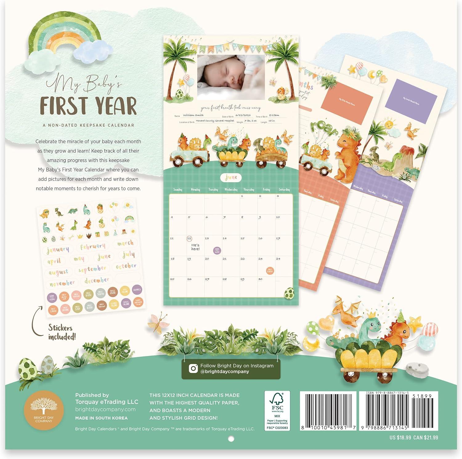Bright Day Baby's First Year Calendar - Dinosaur Theme Milestone ...