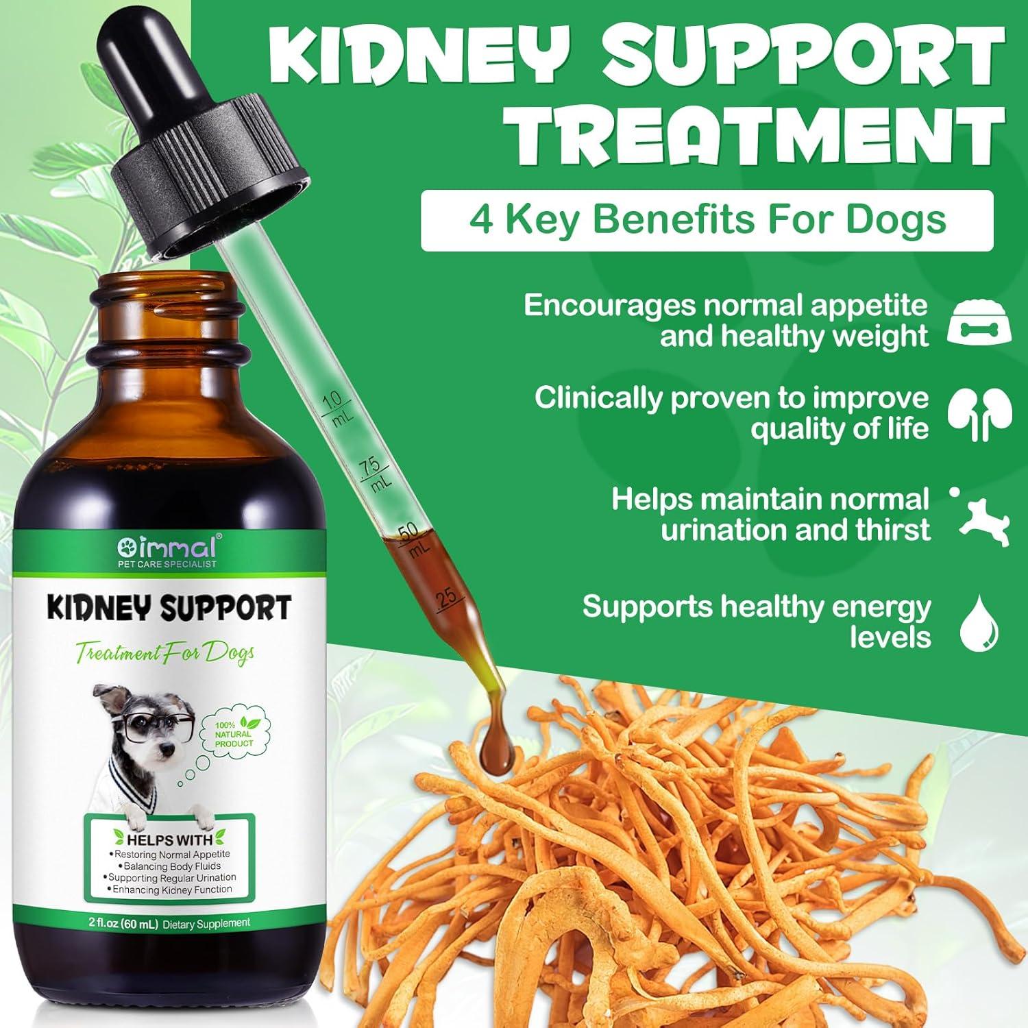 Kidney Support Drops for Dogs and Cats 60ml for Healthy Kidney Function ...