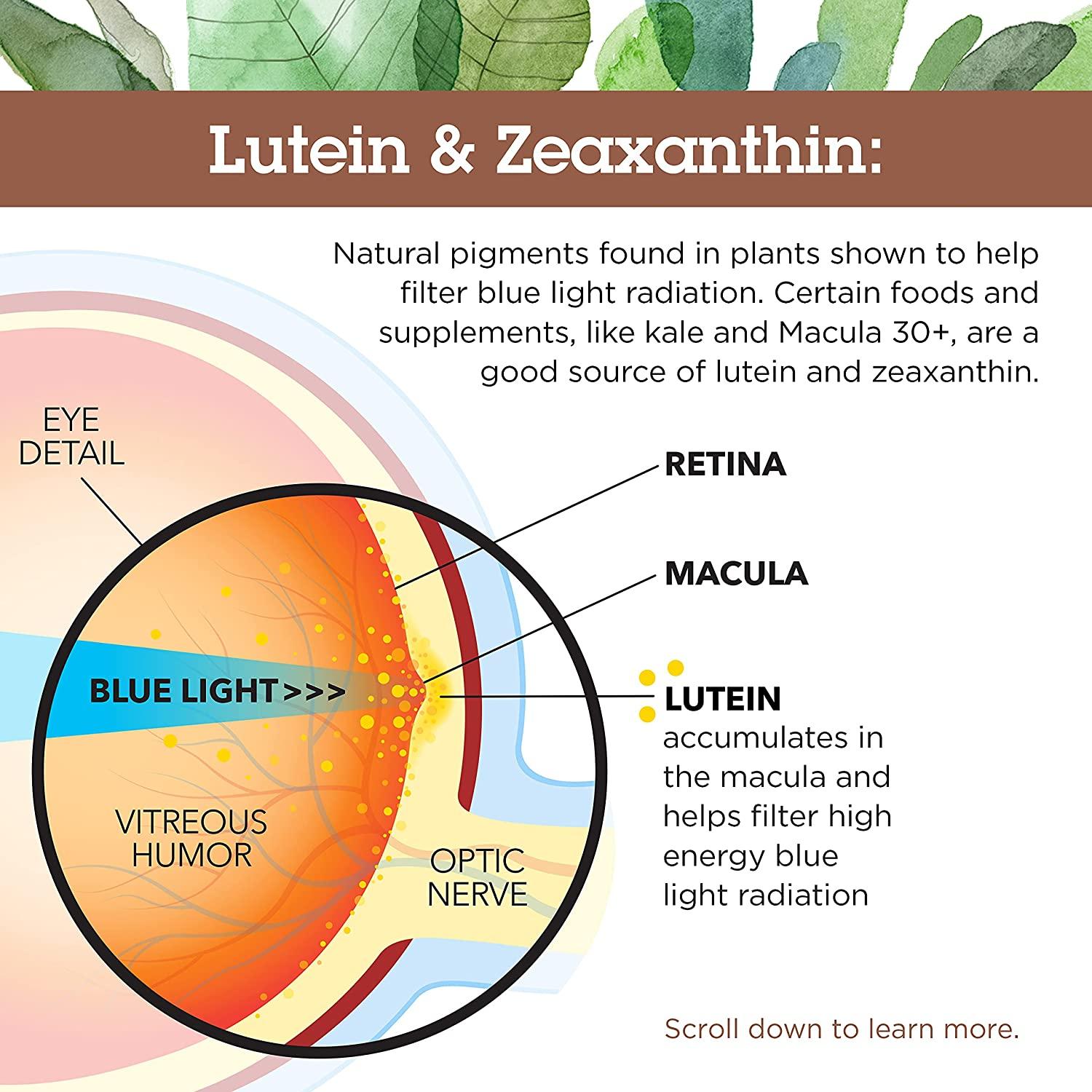 Quantum Health Macula 30+ Eye Support Supplement - Lutein, Zeaxanthin ...