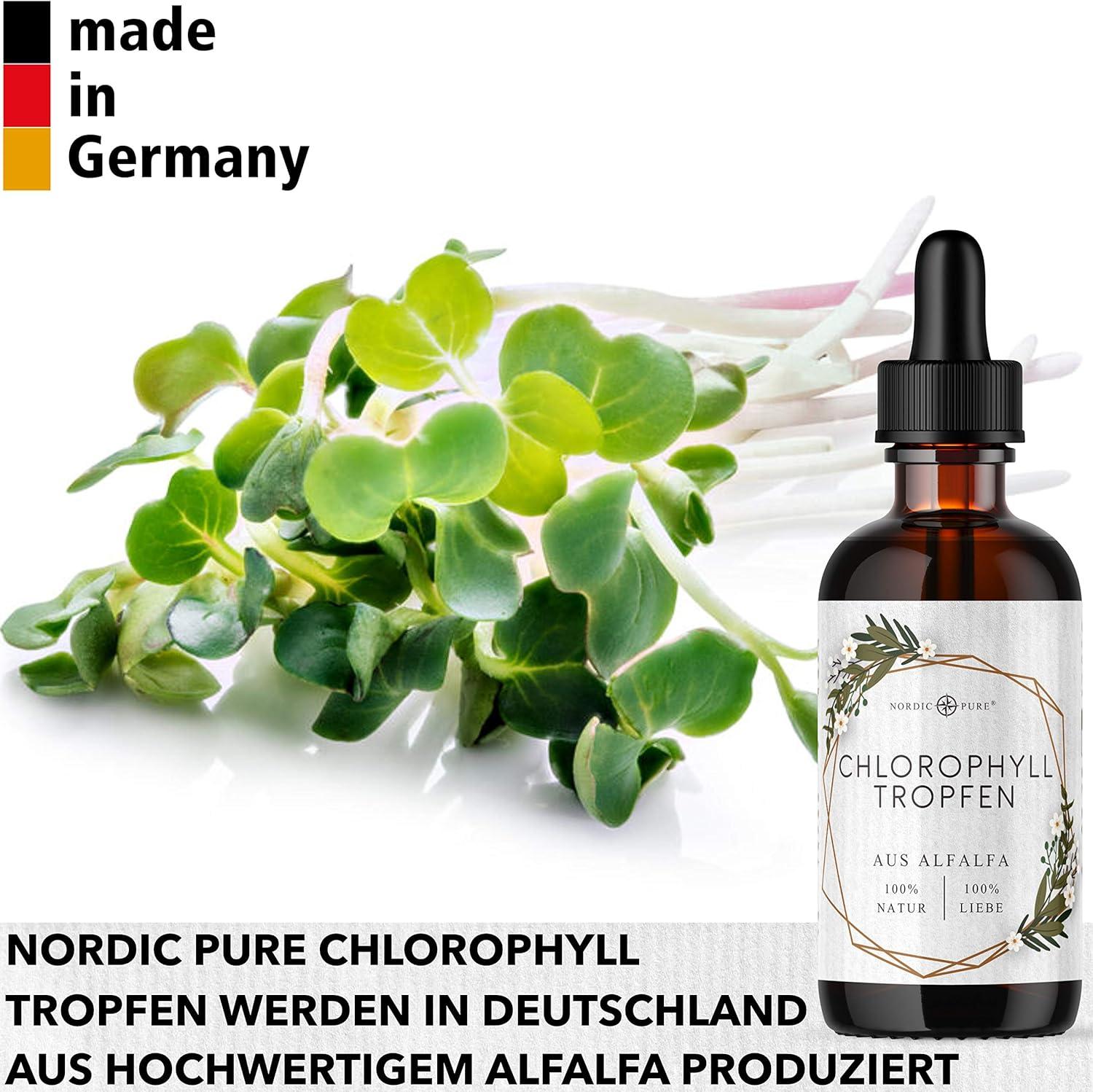 Nordic Pure Liquid Chlorophyll 100 ml | 200 mg Daily Dose | Natural ...
