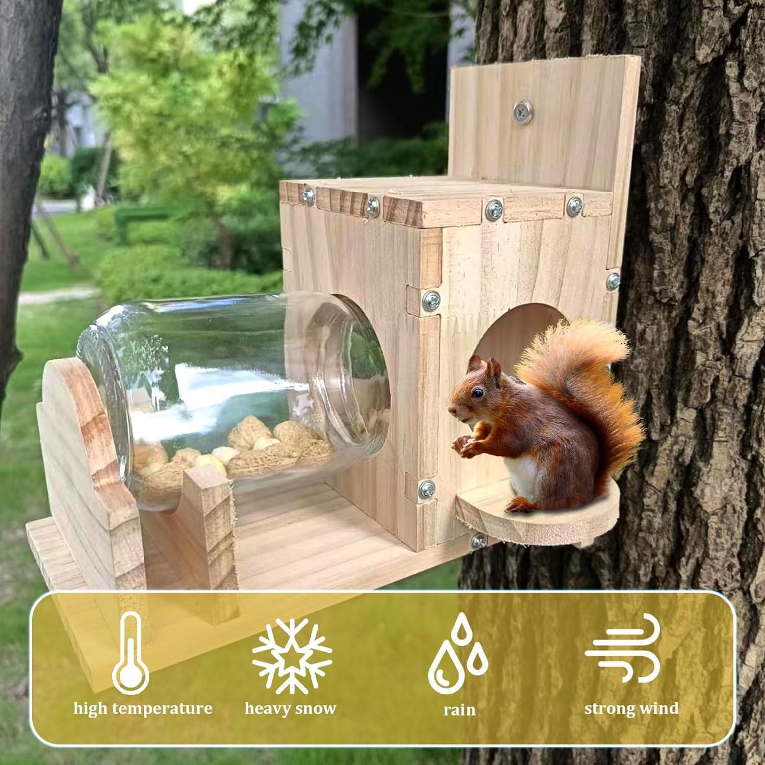 squirrel feeding station