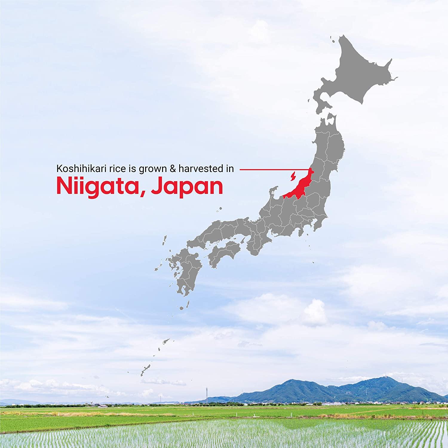 Iris USA Inc. Koshihikari Niigata Japanese Premium Short Grain White ...