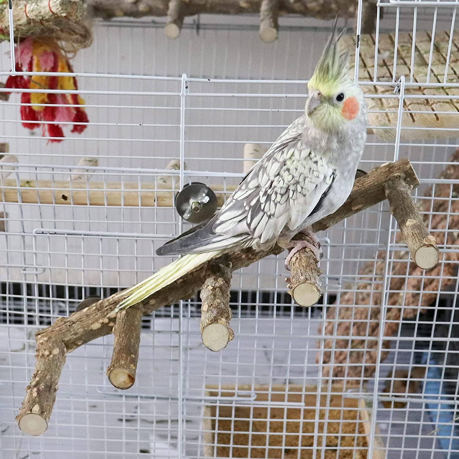 2 Pack Natural Prickly Ash Wood Bird Ladder & Perch Stand - Cage ...