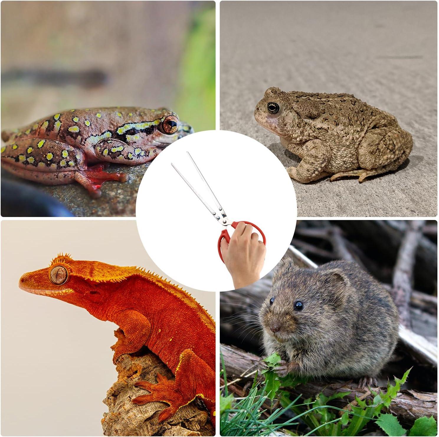 BOXOB Reptile Feeding Tongs 15 Inch Extra Long Snake Feeding Tongs Non ...