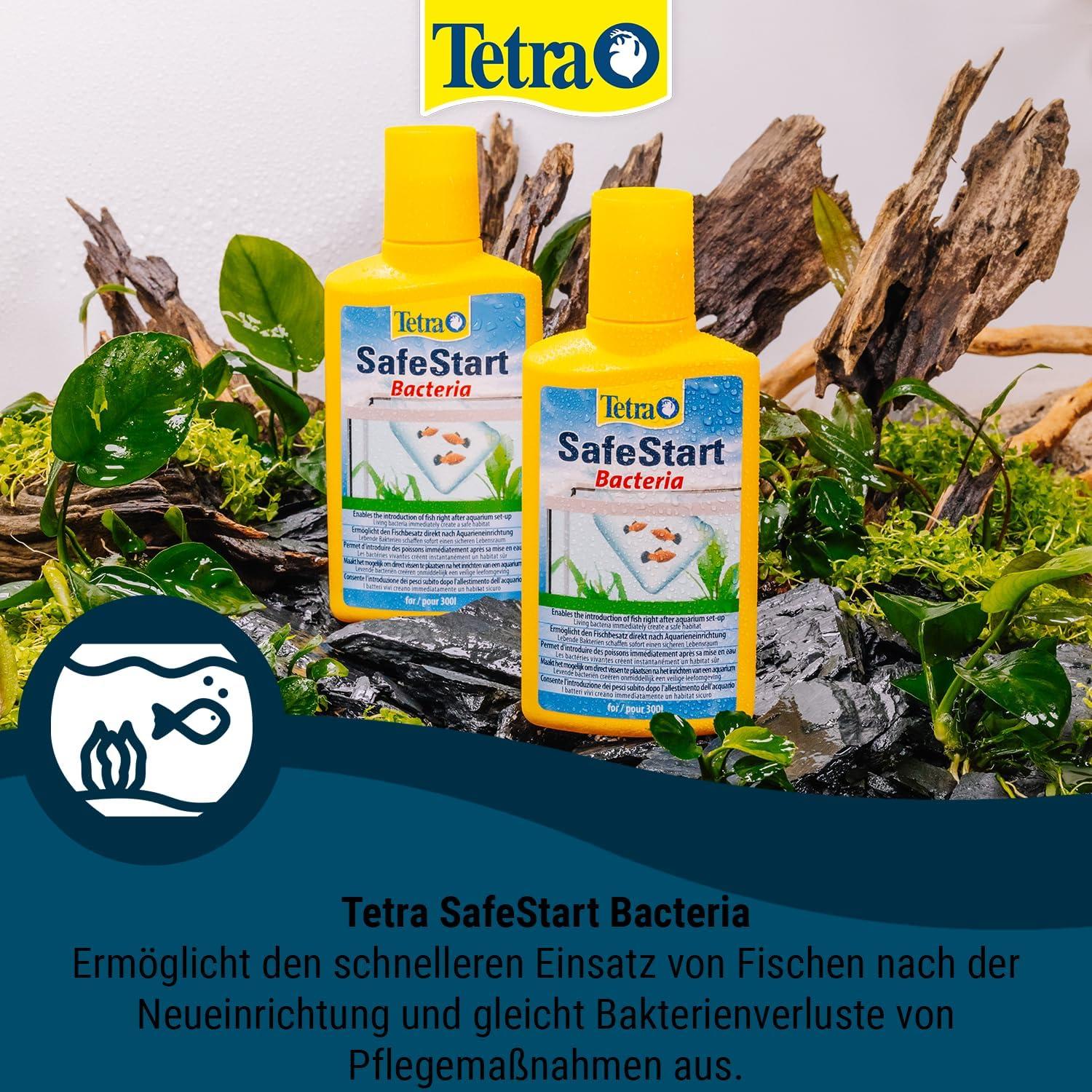 Tetra SafeStart Aquarium Starter - Rapid Fish Introduction with Live ...