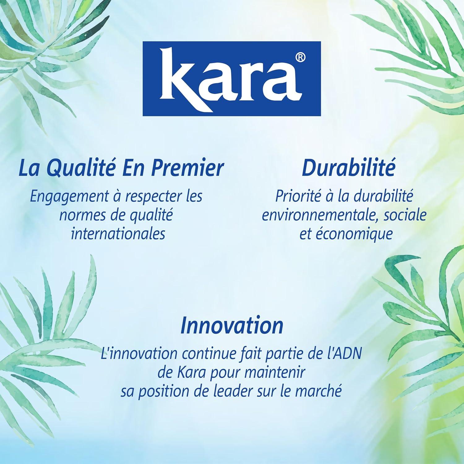 KARA - Intense Organic Coconut Milk - No Additives - Ideal for Sweet ...