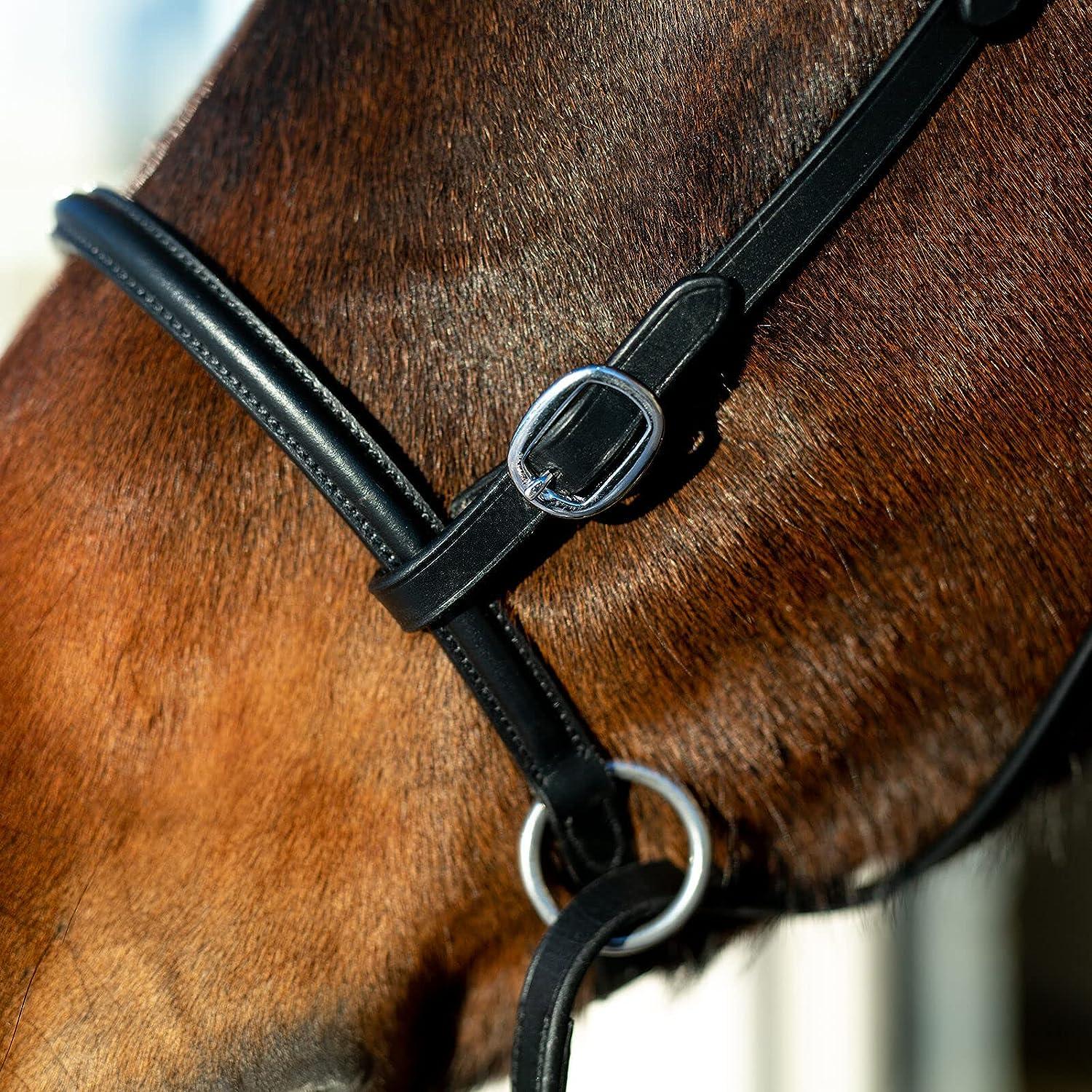 HORZE Genuine Leather Cross-Under Bitless Bridle with Web Reins - Black ...