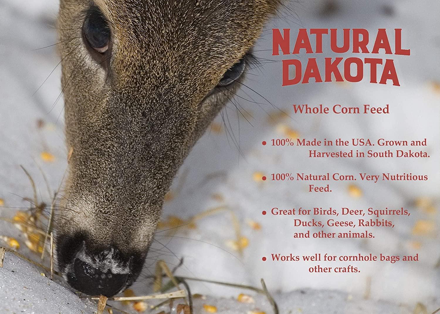 Corn Fed Deer