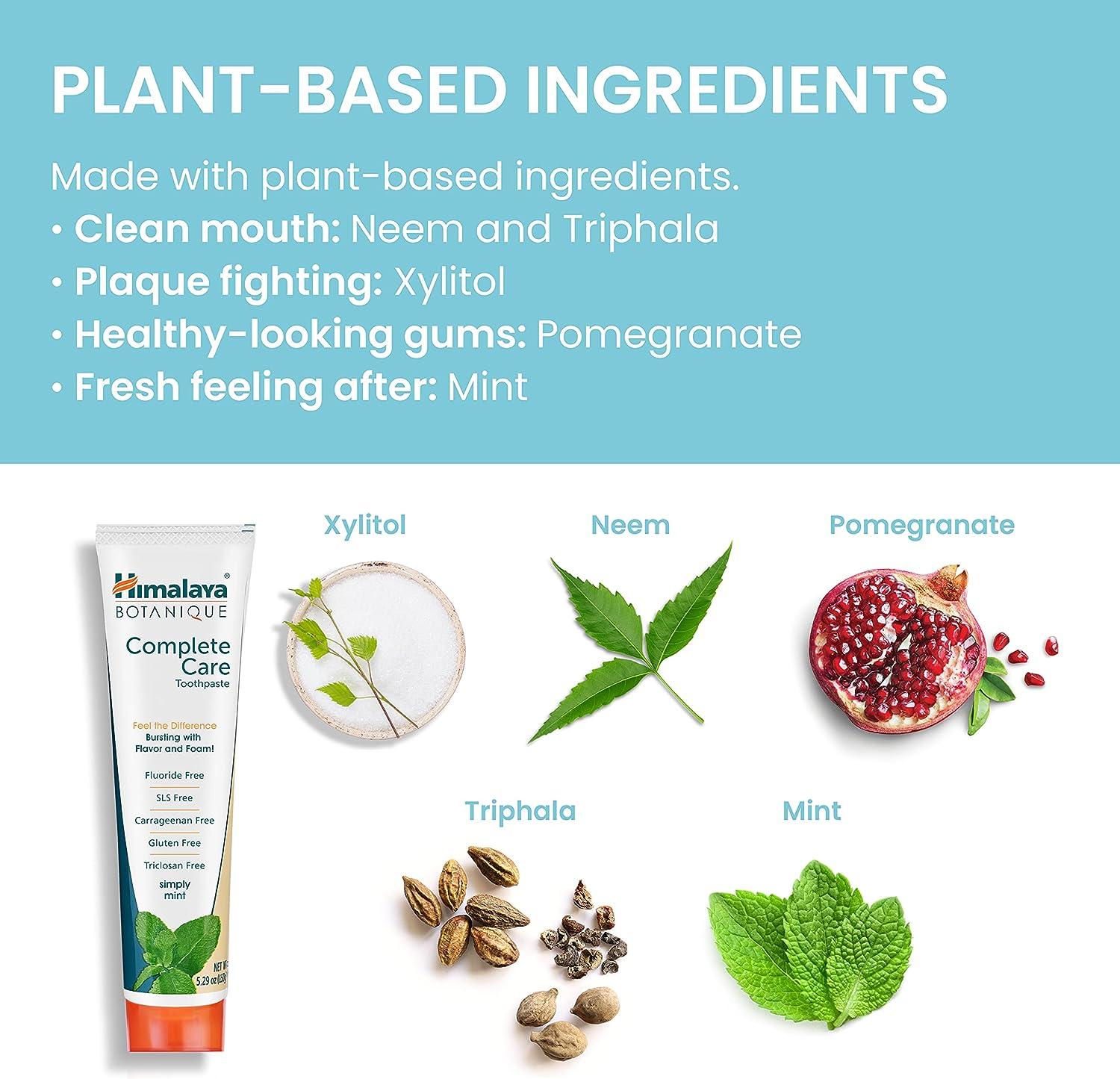 Himalaya Complete Care Simply Mint Toothpaste 5.29 oz 4 Pack | Fluoride ...