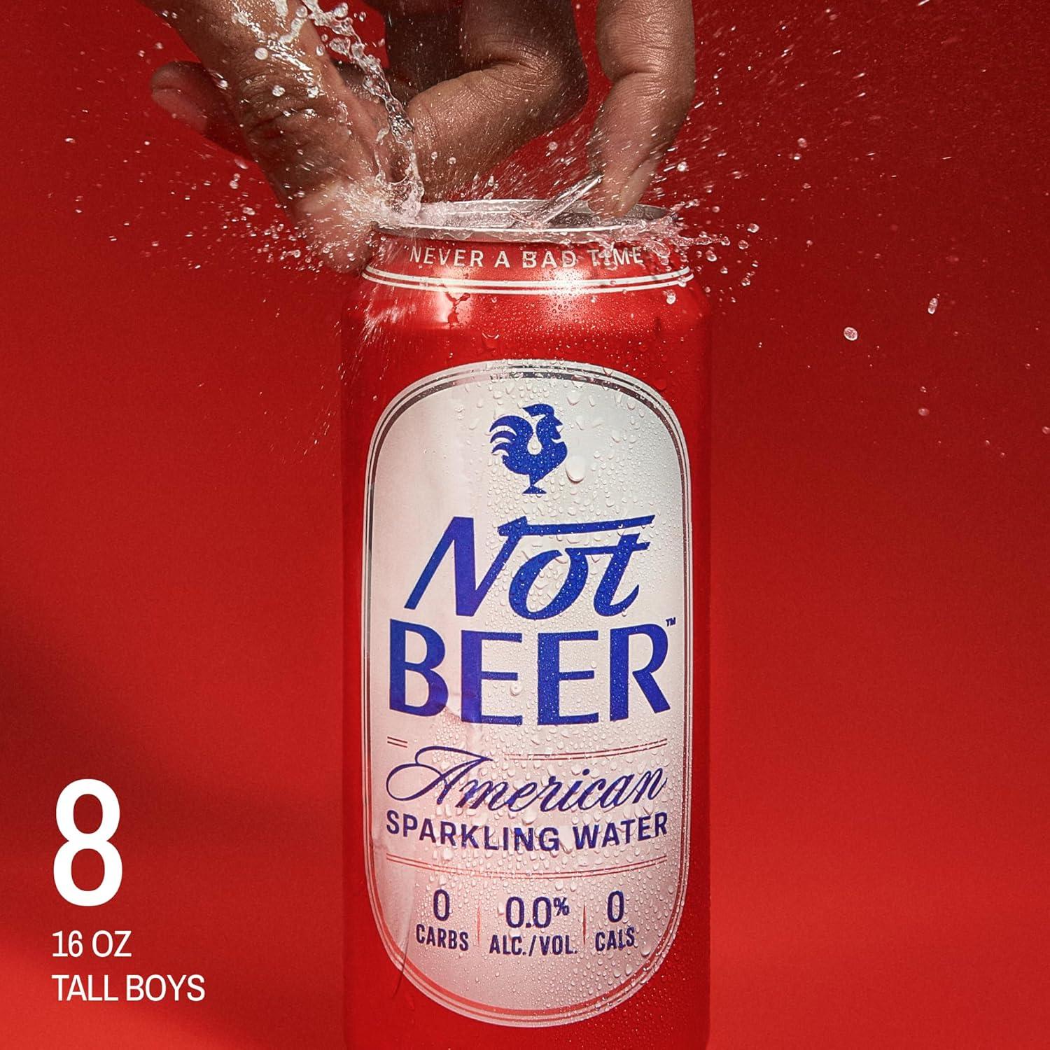 Not Beer American Sparkling Water - Unflavored Mineral & Electrolyte ...