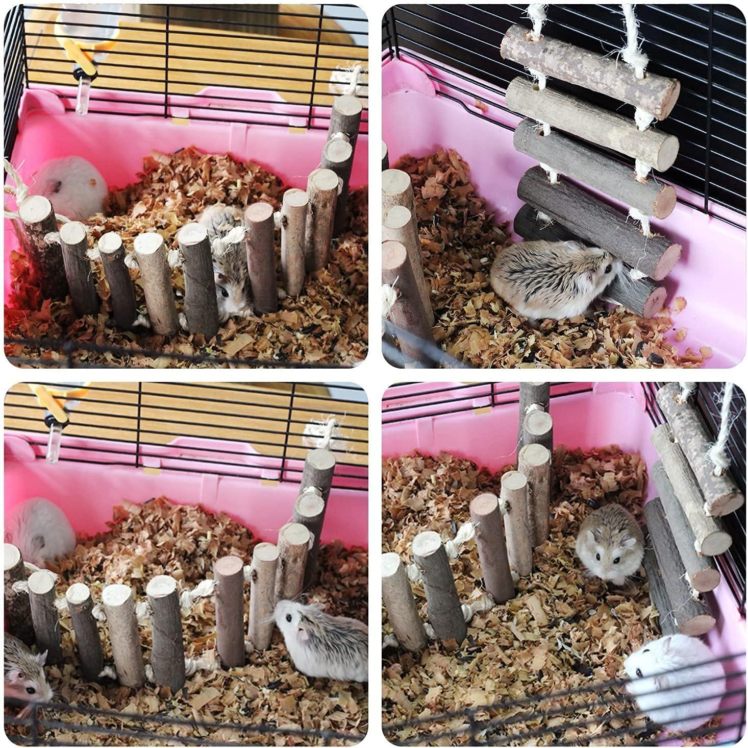 Cedar Alpha 2-Pack Wooden Rope Ladder Bird Toy - Natural Swing and ...