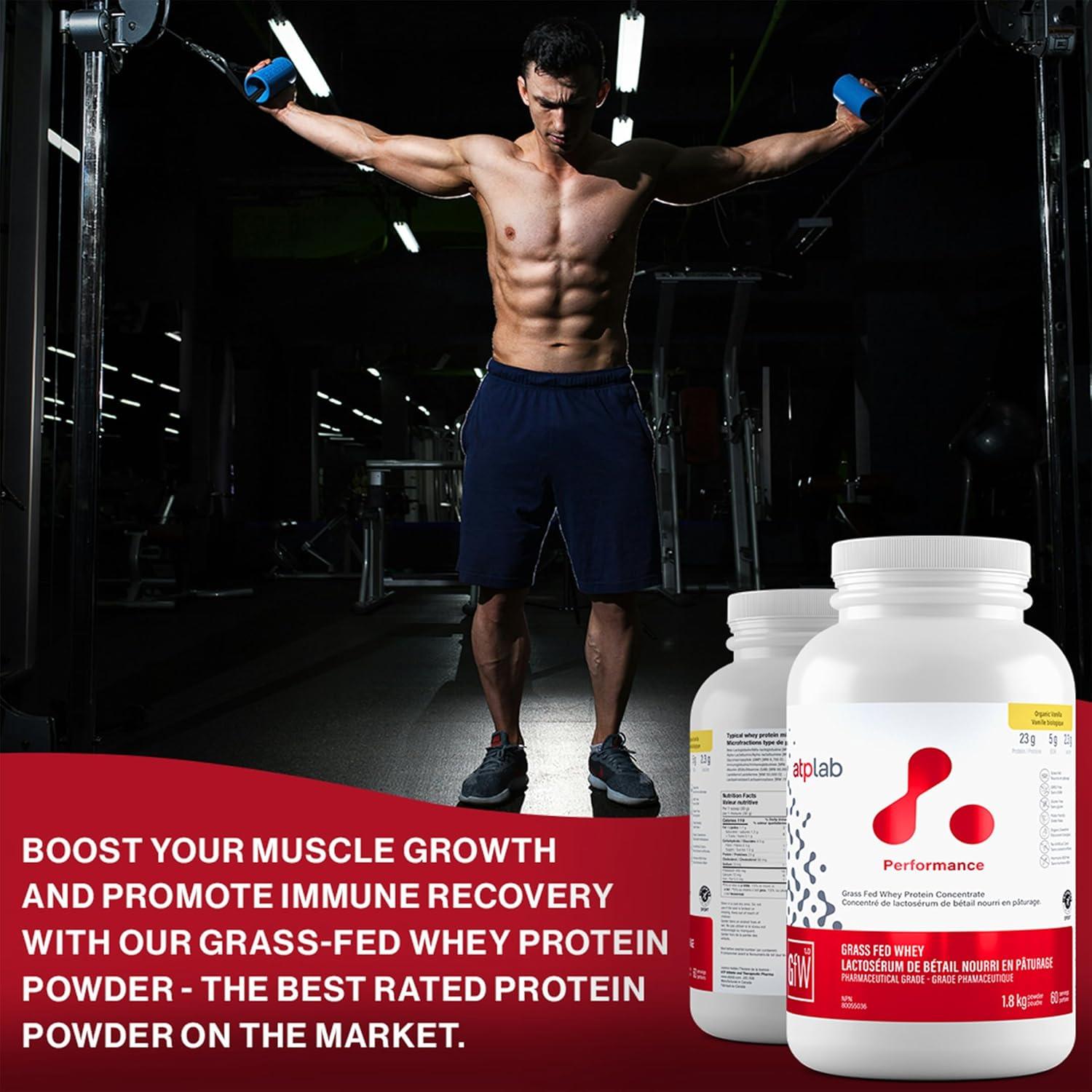 ATP LAB - Grass Fed Whey Protein Powder 1.8kg (Vanilla Flavour) - Whey ...