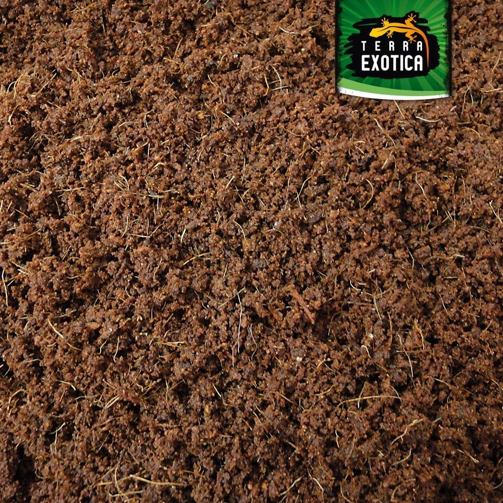 Coco's Ground Coconut Humus for Terrariums | 9L Substrate for ...