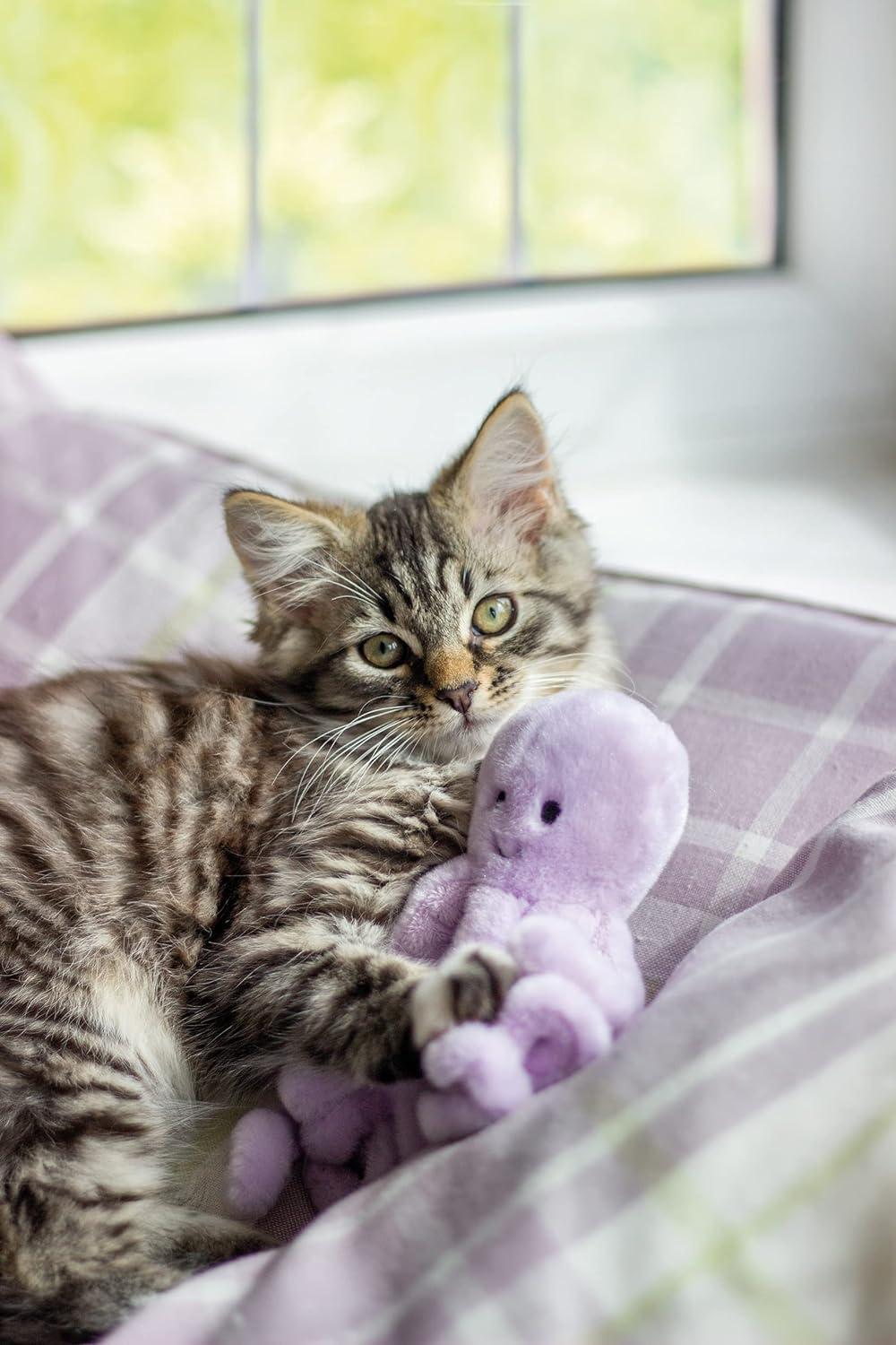 Rosewood Jolly Moggy Octopus Cat Toy - Under the Sea Fun for Your ...