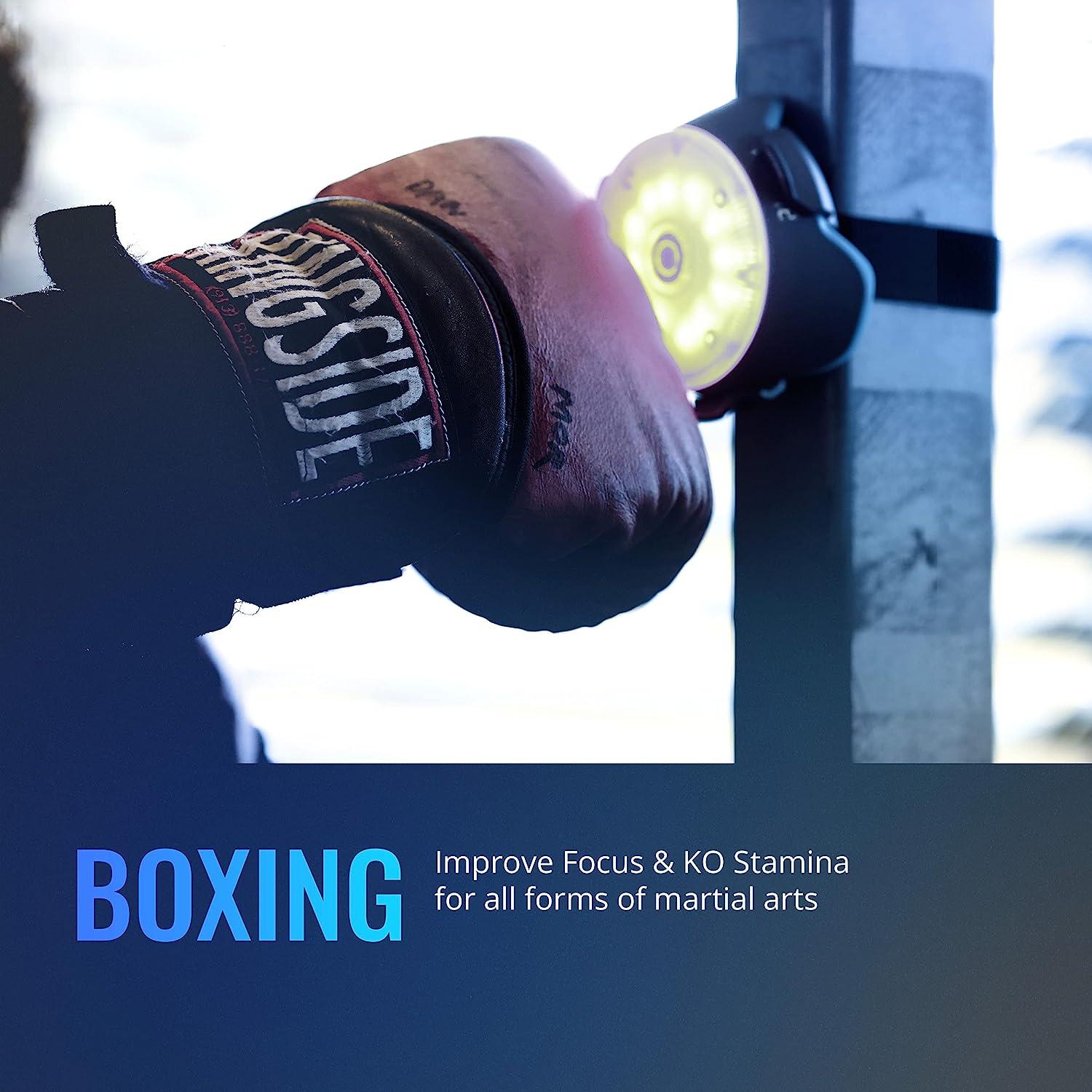 BlazePod LED Reflex Training Pods for Boxing & Martial Arts | Improve ...