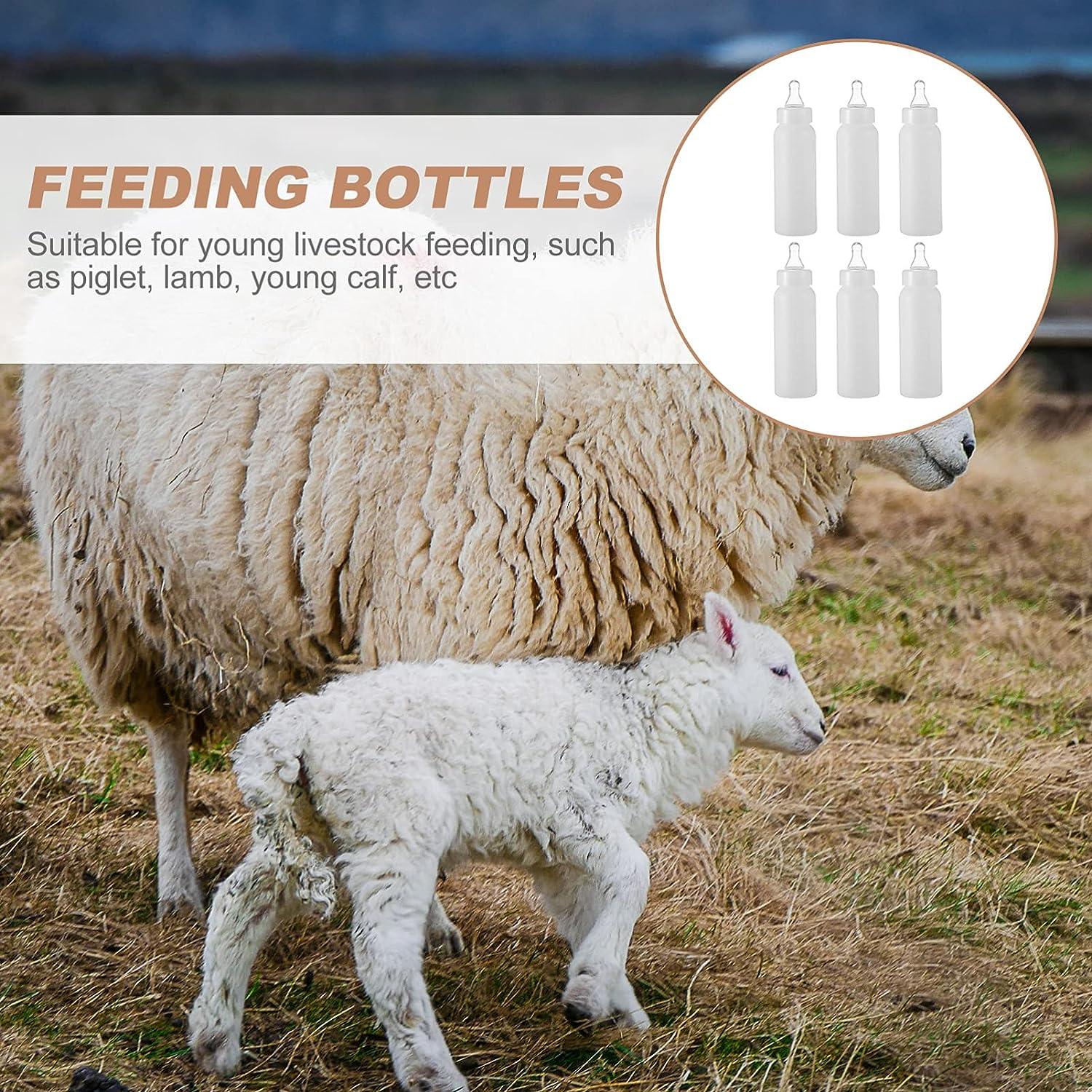 6pcs 250ml Calf Feeding Bottles | Lamb Goat Milk Feeder Set | Baby ...