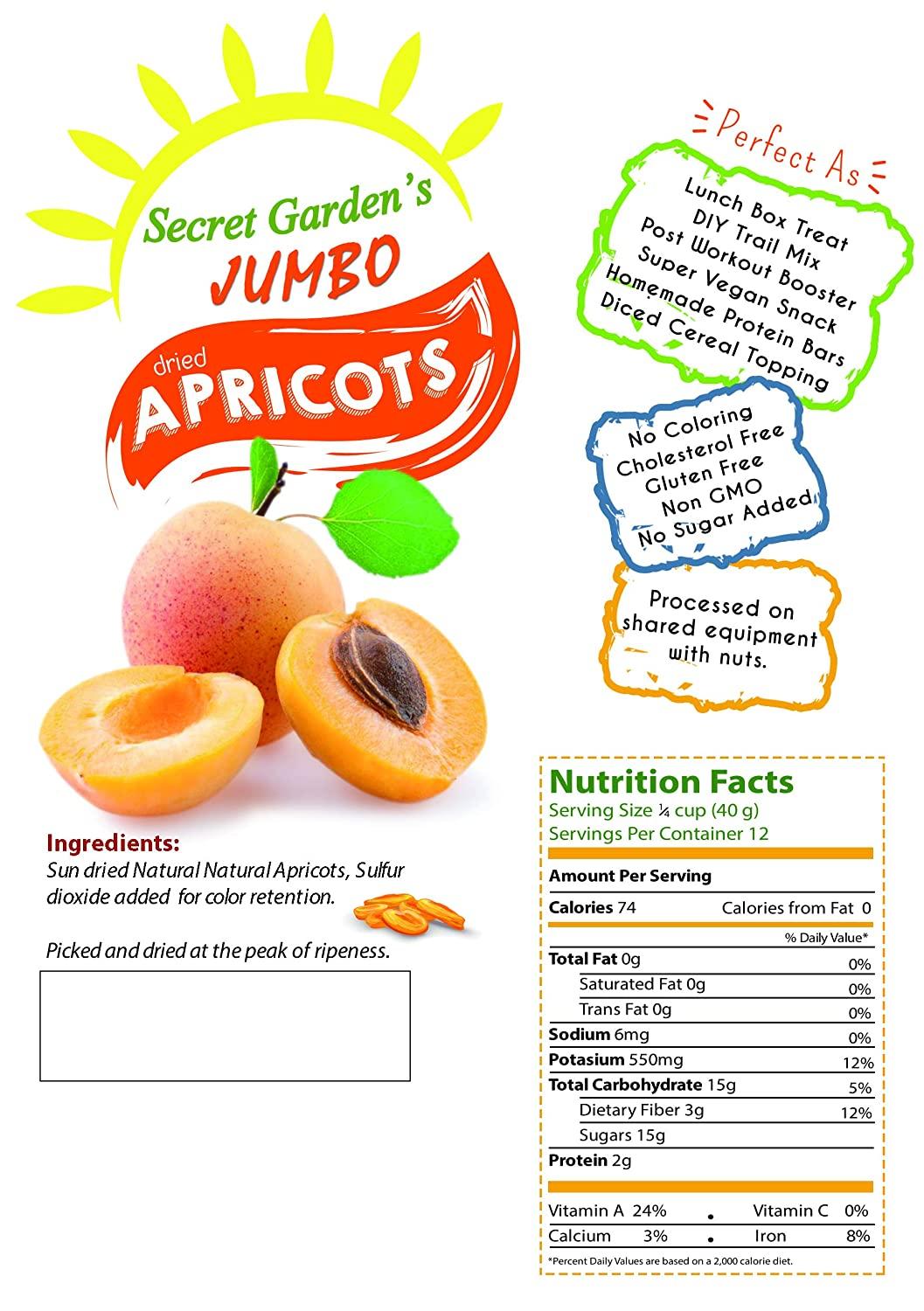 JUMBO Turkish Dried Apricots - 1 LB Resealable Bag, Natural and ...