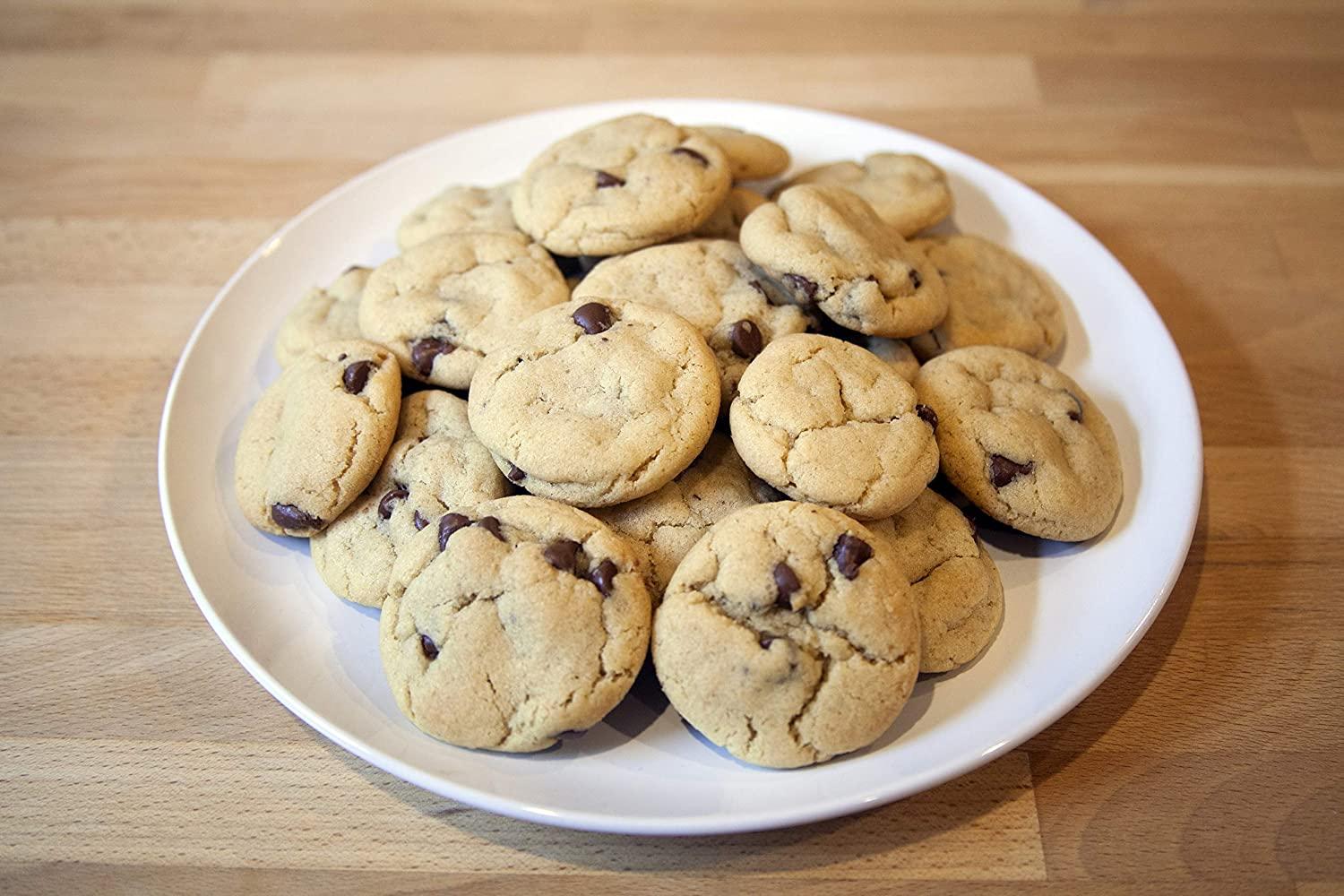Chocolate Chip Cricket Cookie Mix with Cricket Flour - Delicious and ...