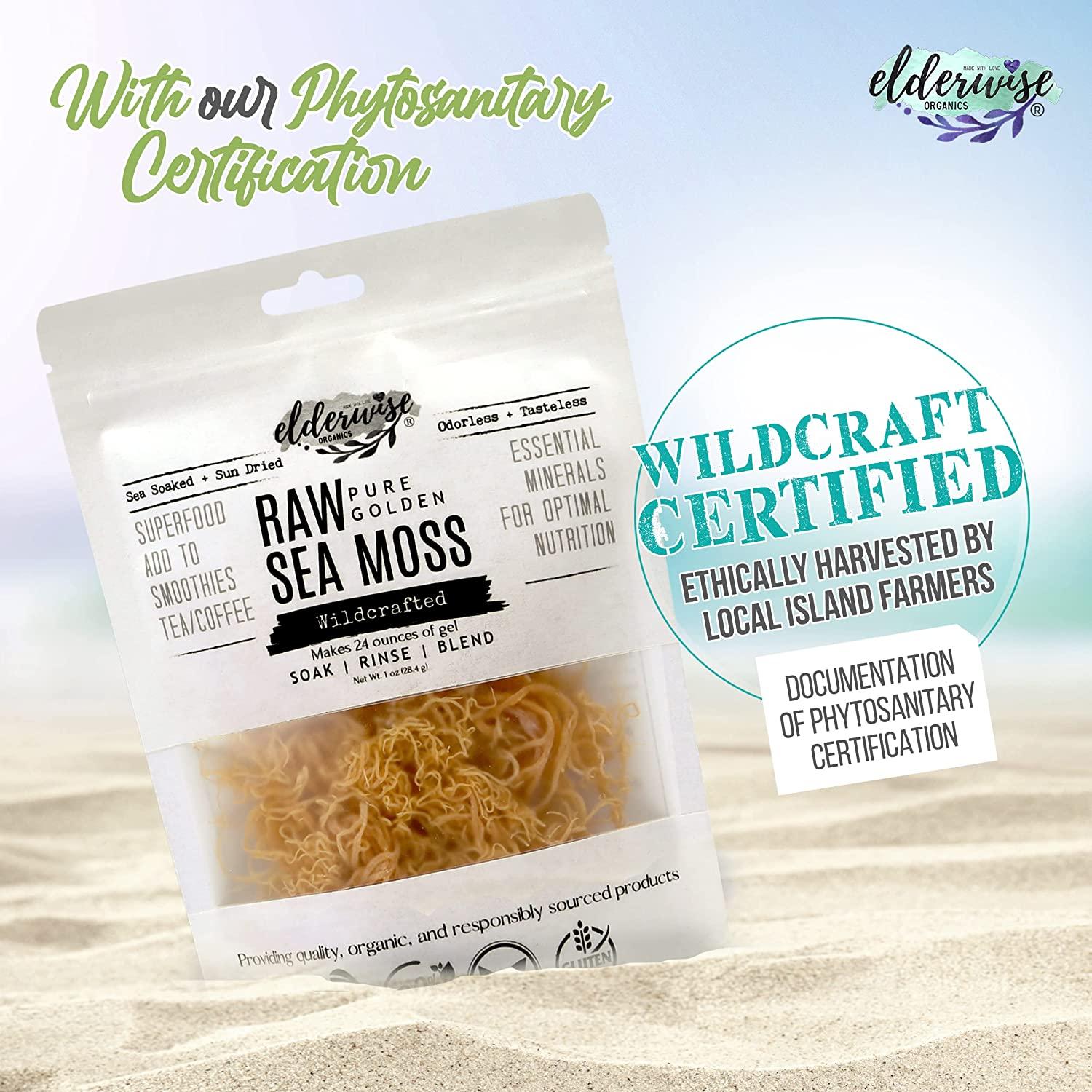 Wildcrafted Sea Moss Gel - Raw, Non-GMO, Sundried, Mineral Rich - Makes ...