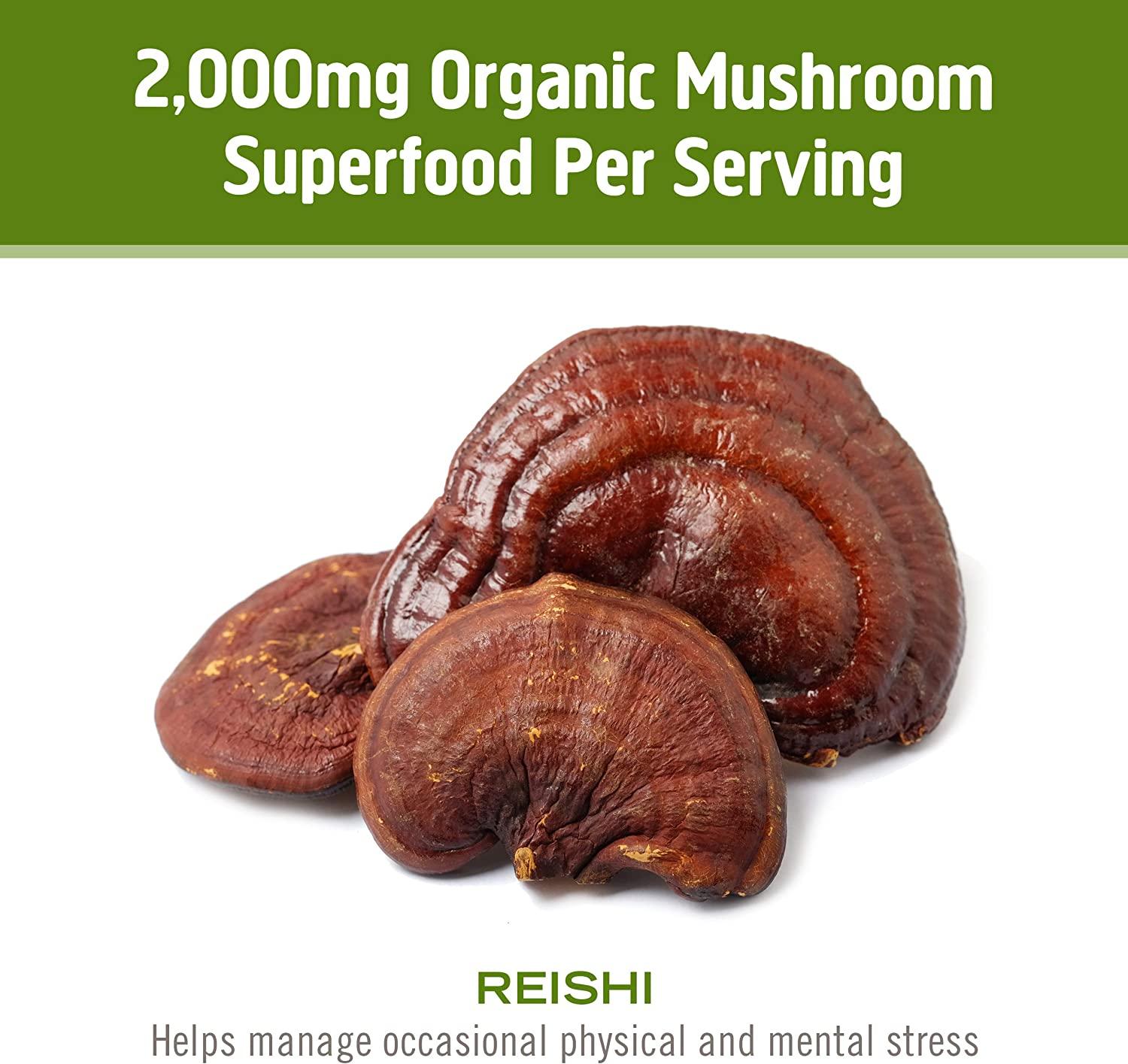 Om Mushroom Superfood Reishi Powder - Organic Adaptogen for Stress ...
