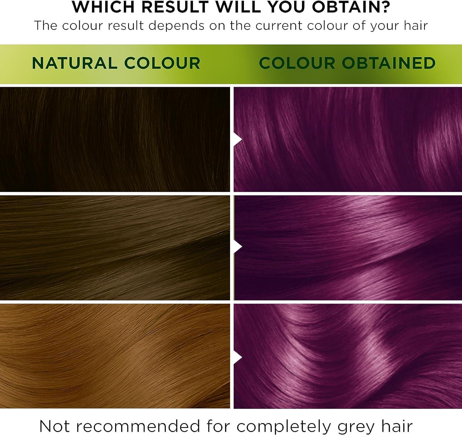 Garnier Nutrisse Ultra Color 5.21 Intense Lilac Hair Dye - For All Hair ...