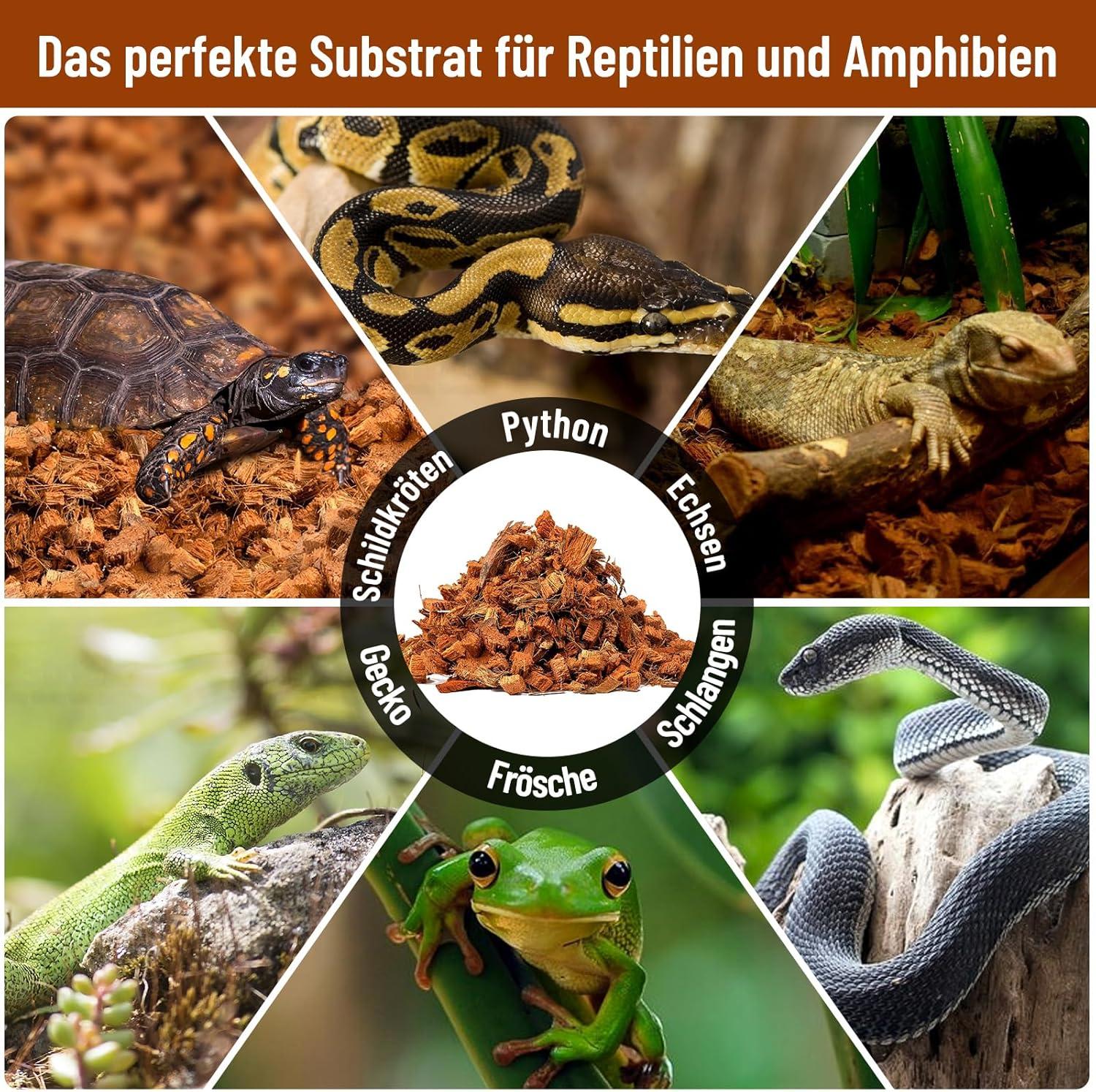 Riare 6 Pack Natural Coconut Substrate for Reptiles & Plants | Humus ...