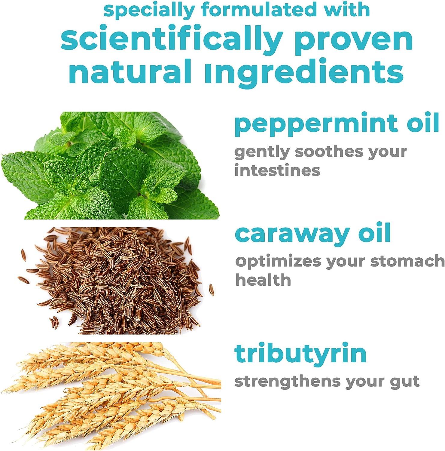 IBHALT Digestive Support Supplement - Peppermint Oil, Caraway Oil ...