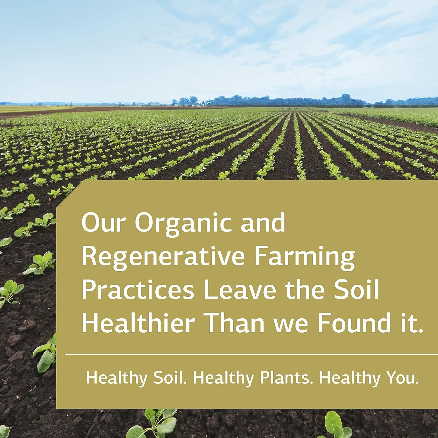 Standard Process Calcifood - Bone Strength & Calcium Absorption Support ...