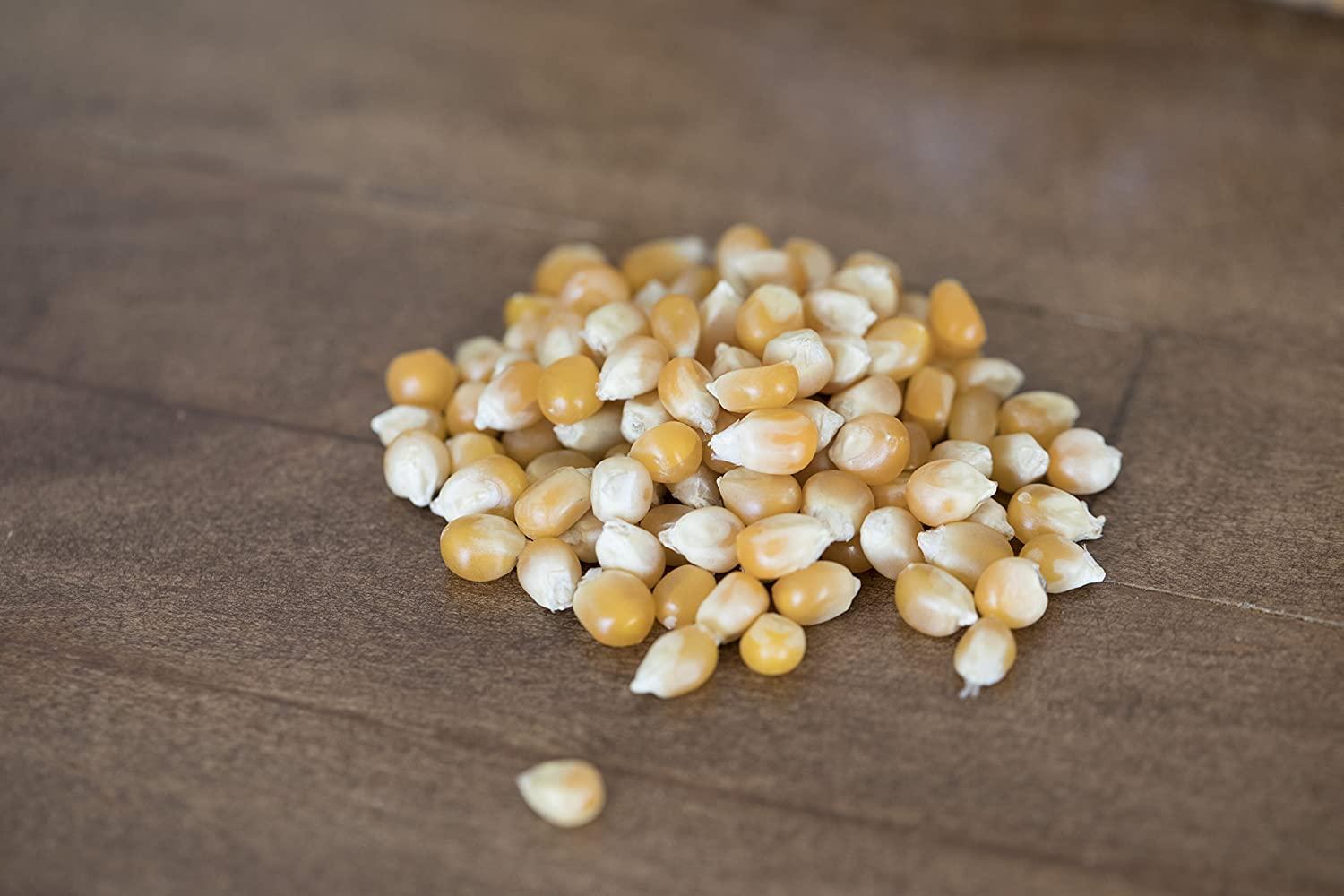 Amish Country Popcorn 2 lb Bag - Extra Large Caramel Type Kernels | Non ...