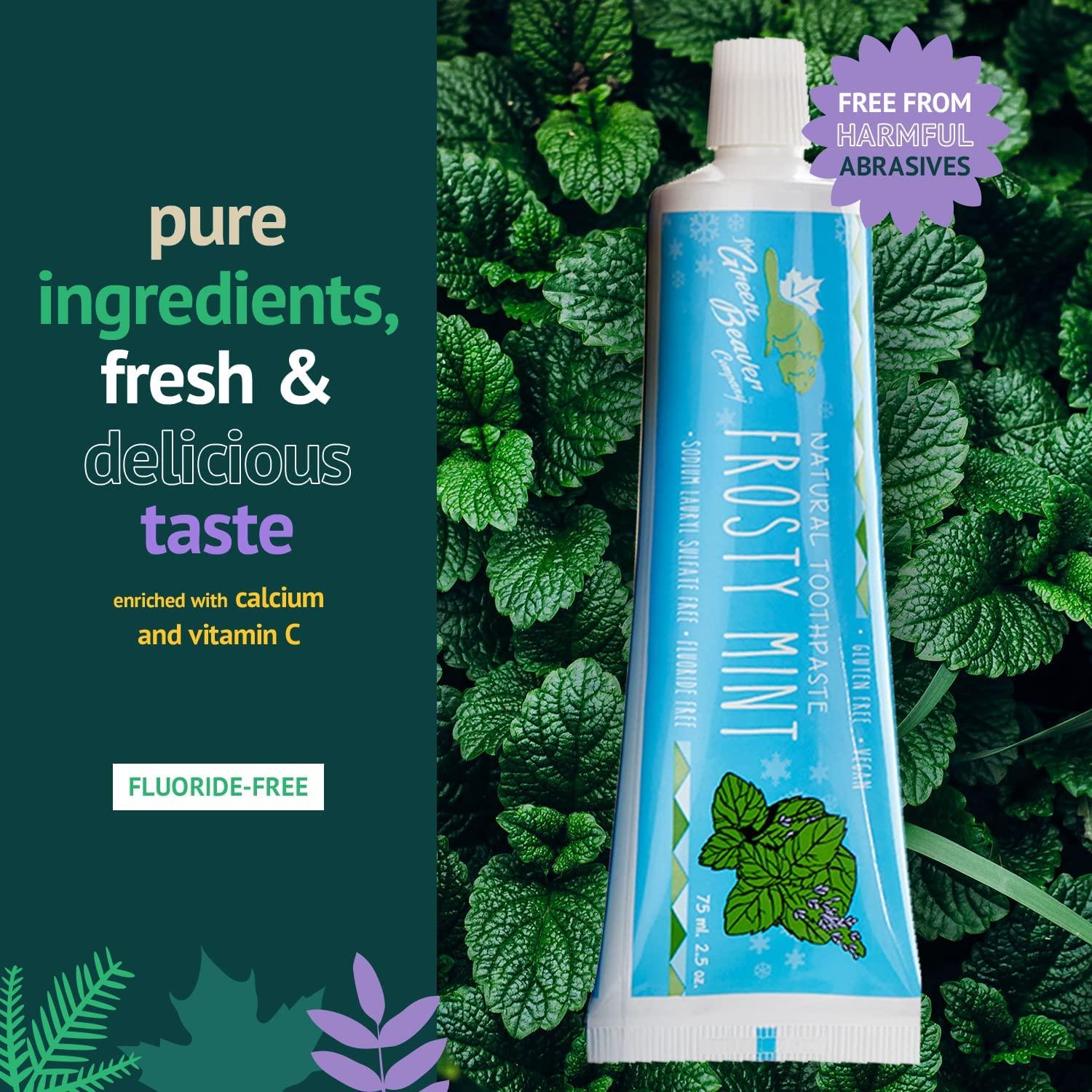 Green Beaver Frosty Mint Toothpaste - Natural, 2.5 oz | Eco-Friendly ...
