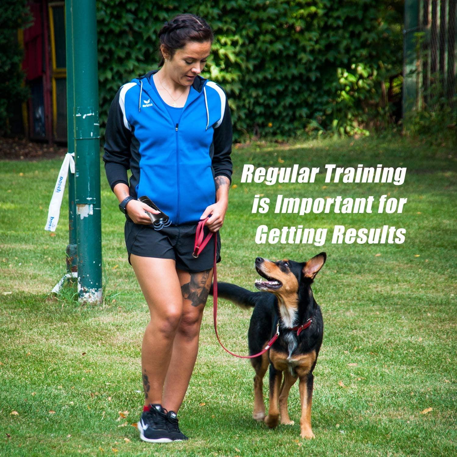 BarxBuddy Anti Barking Control Device - Ultrasonic Sound with LED ...