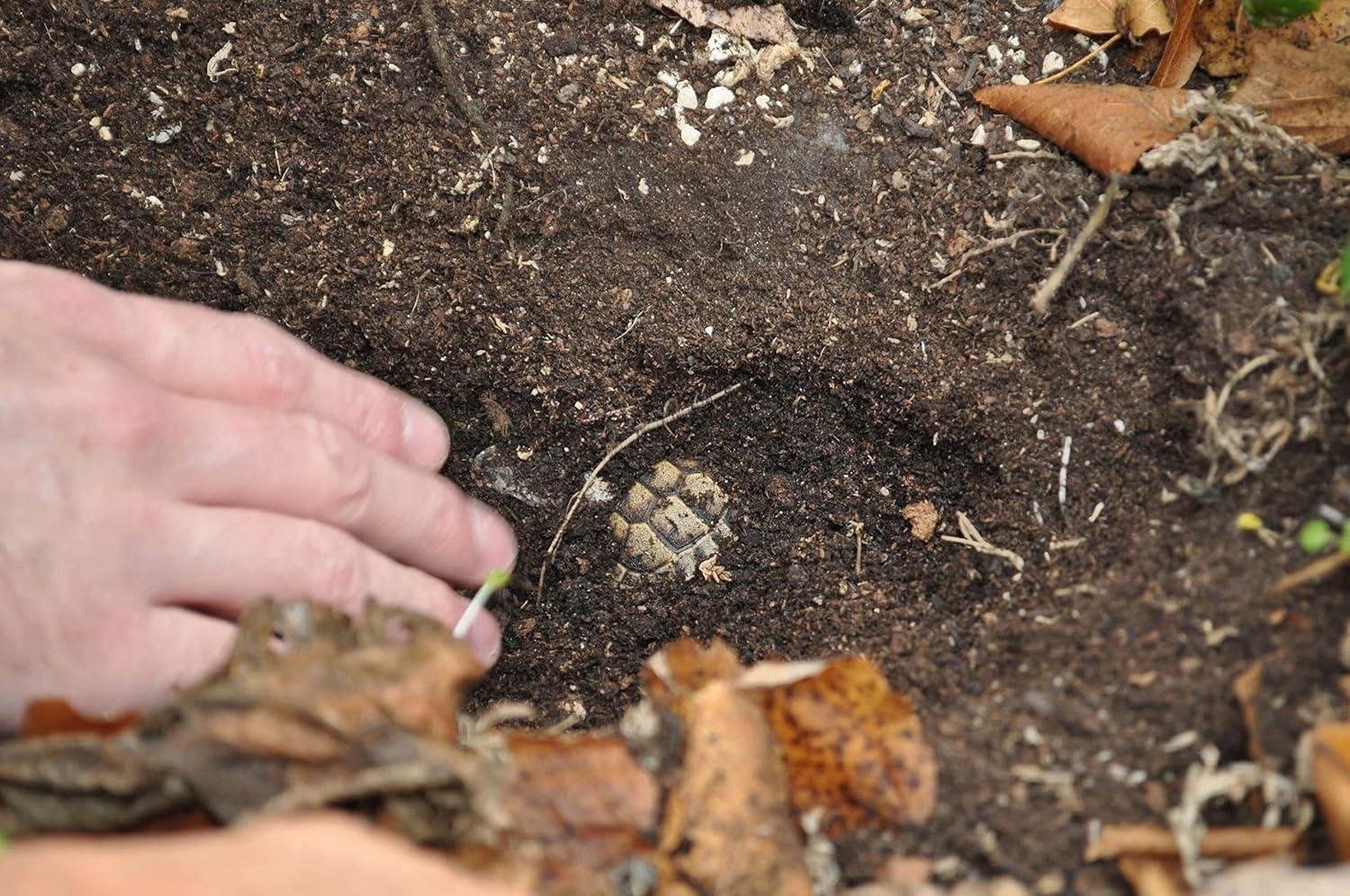 Linsor Turtle Soil - Natural Fertilizer-Free Substrate for Tortoises ...