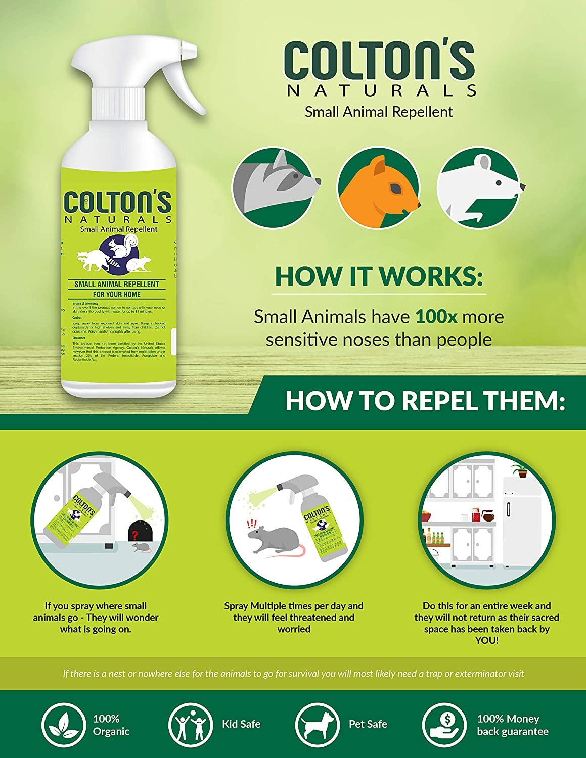 All Natural Rodent Repellent Spray- Perfect for: Racoons Rats Squirrels ...