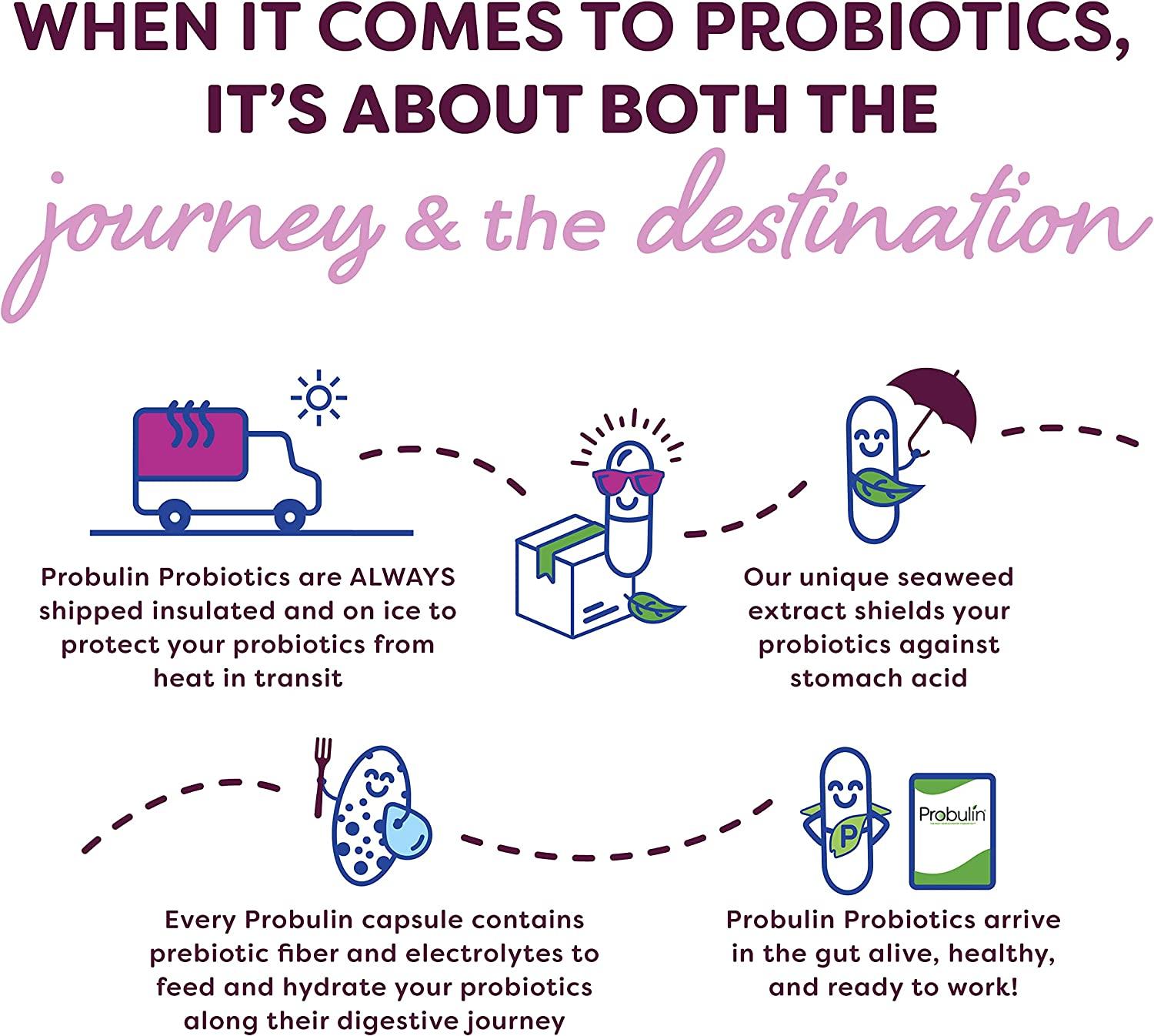 Probulin Total Care Probiotic, Prebiotic & Postbiotic with Elderberry ...