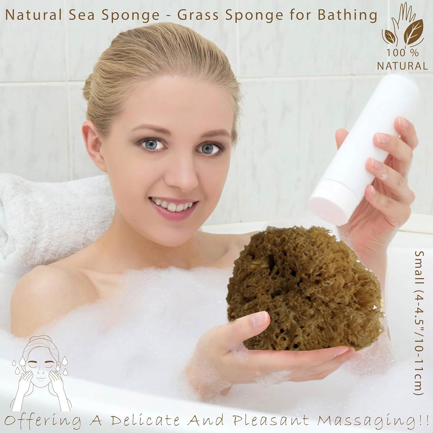 Natural Grass Sea Bath Sponge for Adults & Kids - Small Size (4-4.5 ...