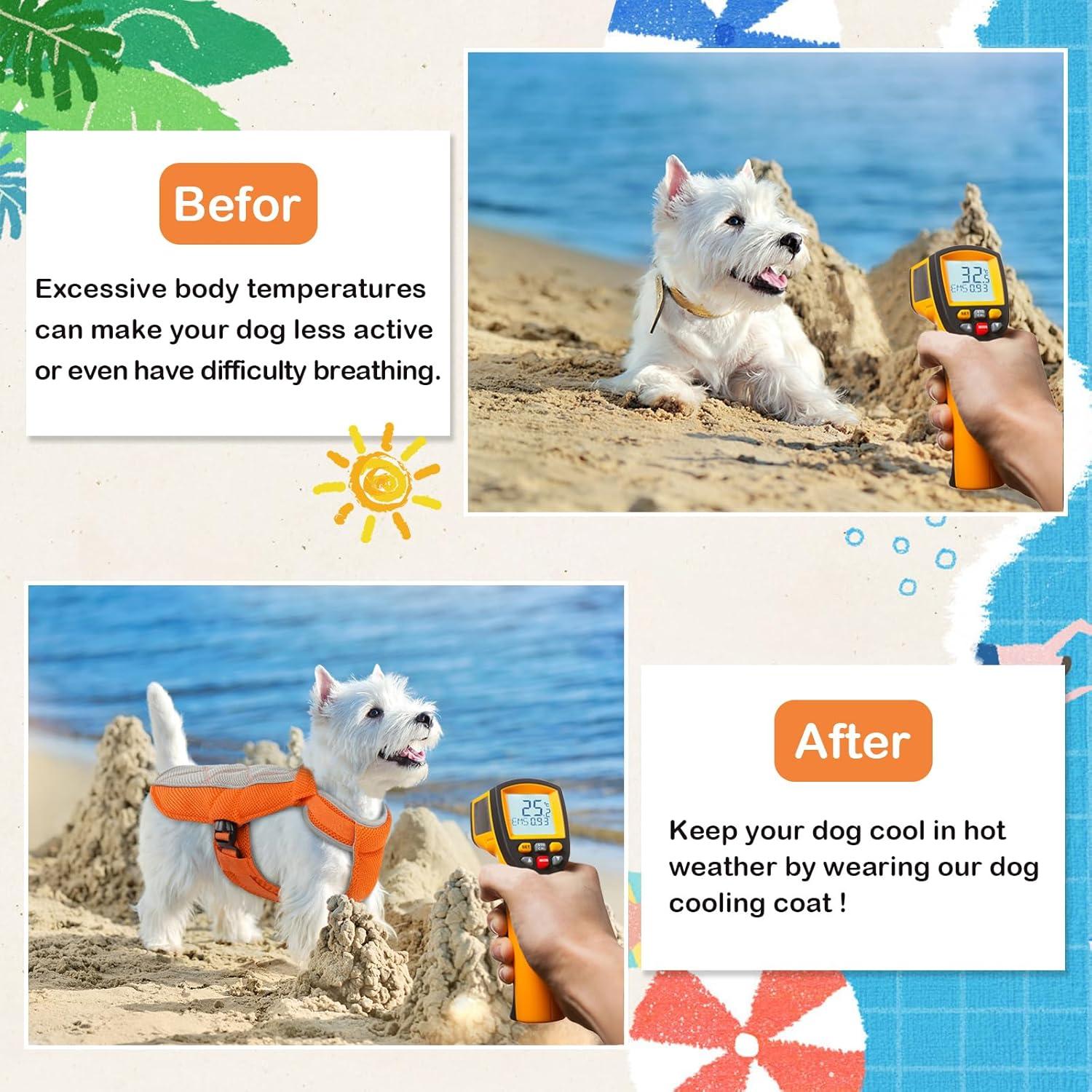 Hjumarayan Cool Vest for Dogs - Breathable Summer Cooling Coat with D ...