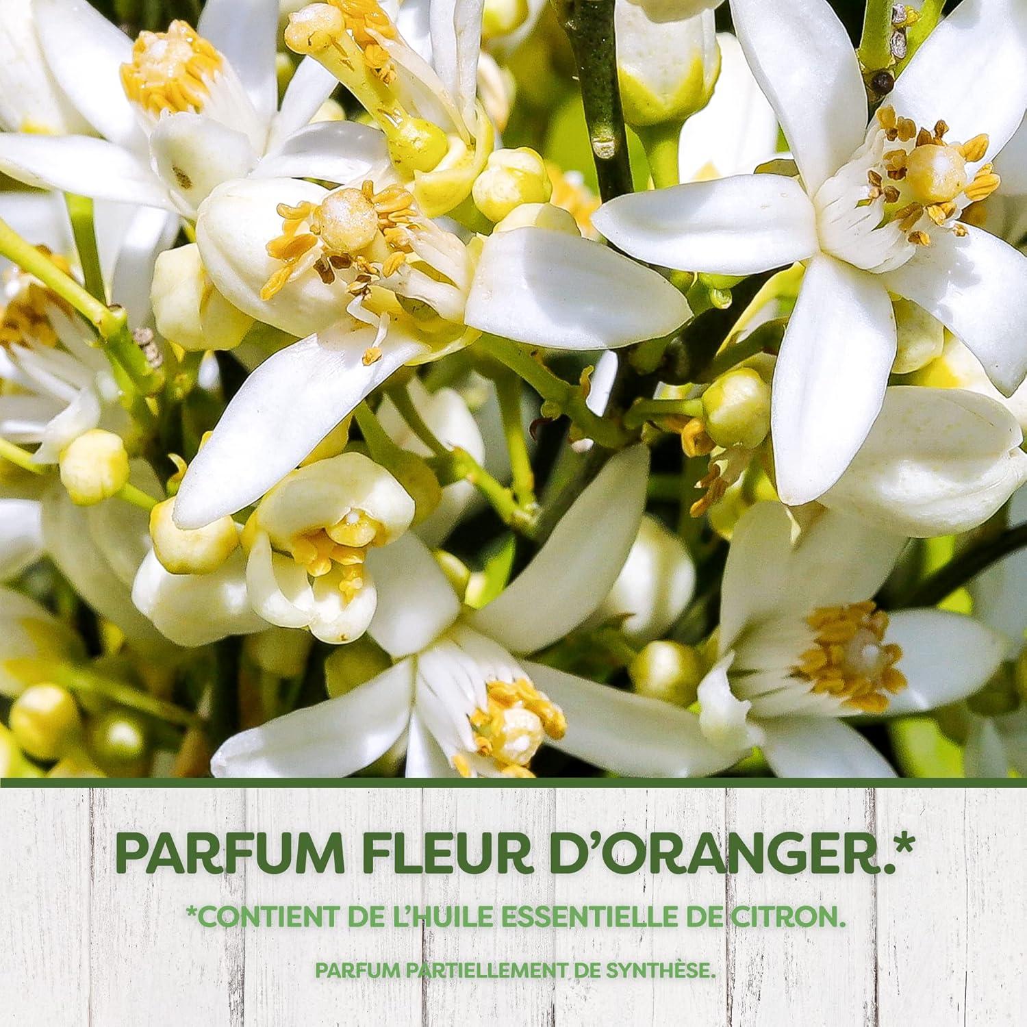 Pyrel Scented Sachets Refreshing Orange Blossom & Essential Lemon Oil ...