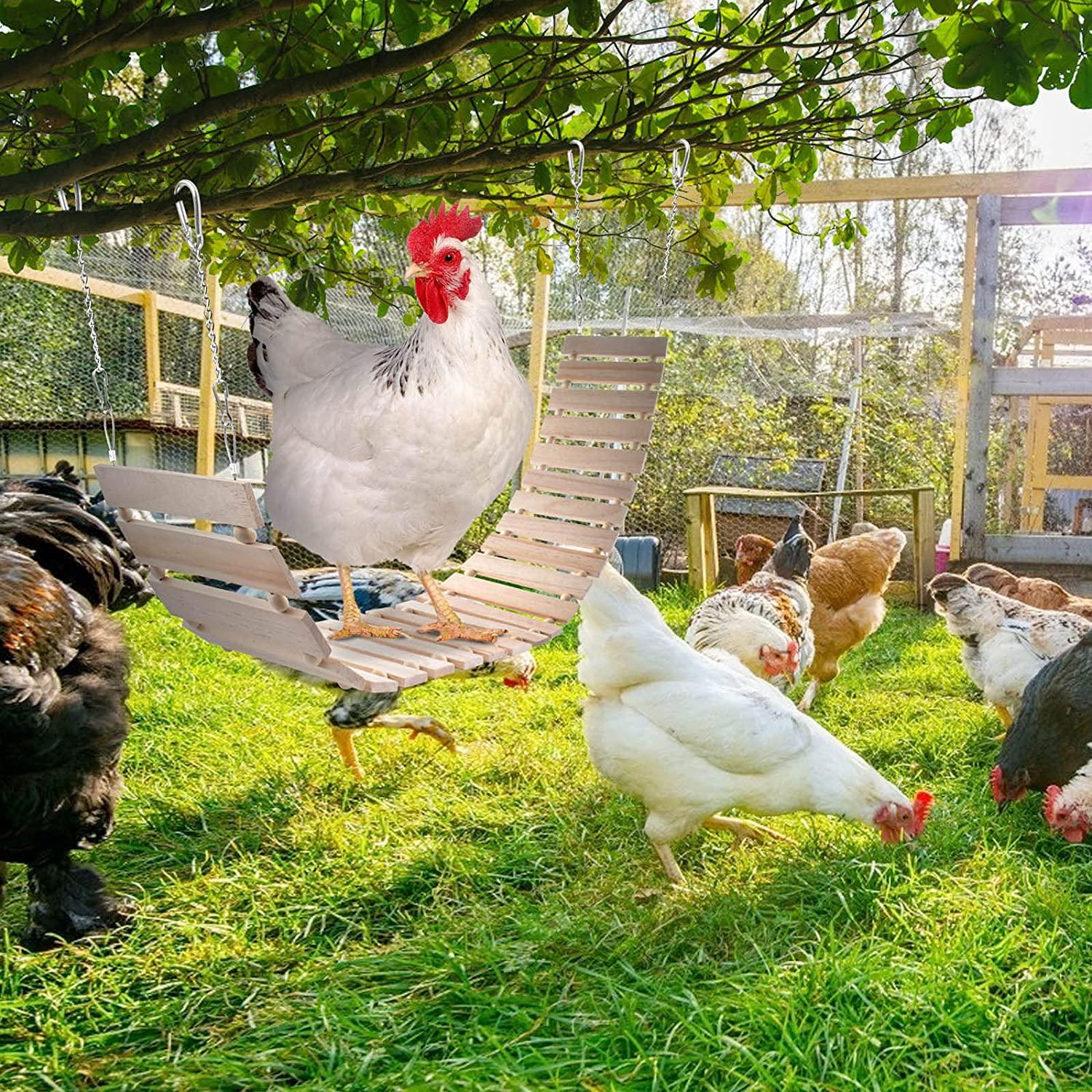 KATUMO Chicken Swing & Perch Toy for Coop - Natural Wood Ladder for ...